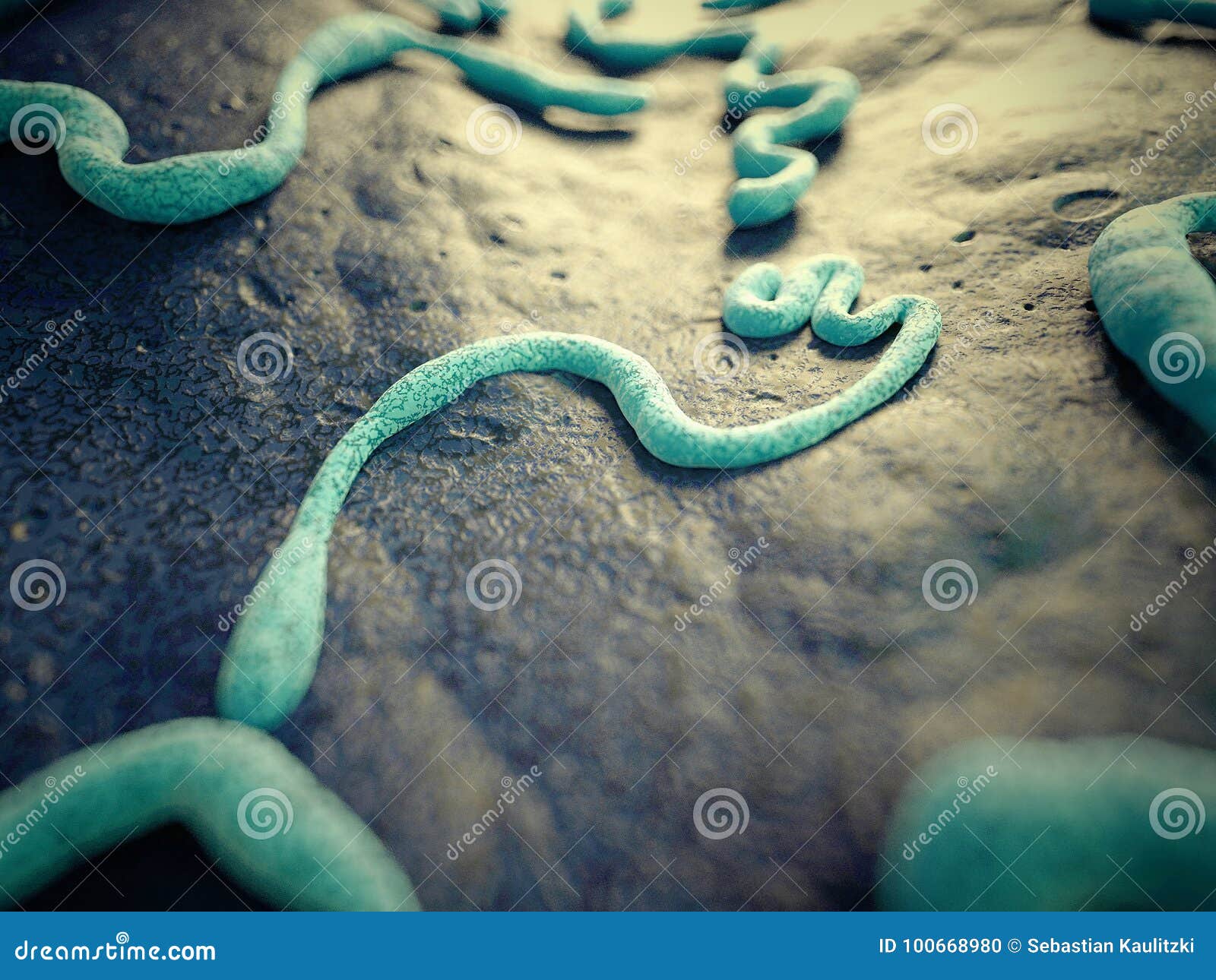 The ebola virus stock illustration. Illustration of medically - 100668980