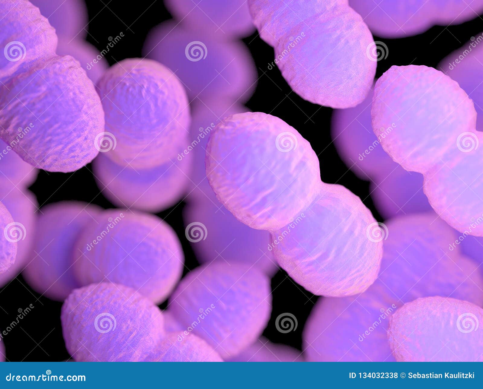 An enterococcus bacteria stock illustration. Illustration of close ...