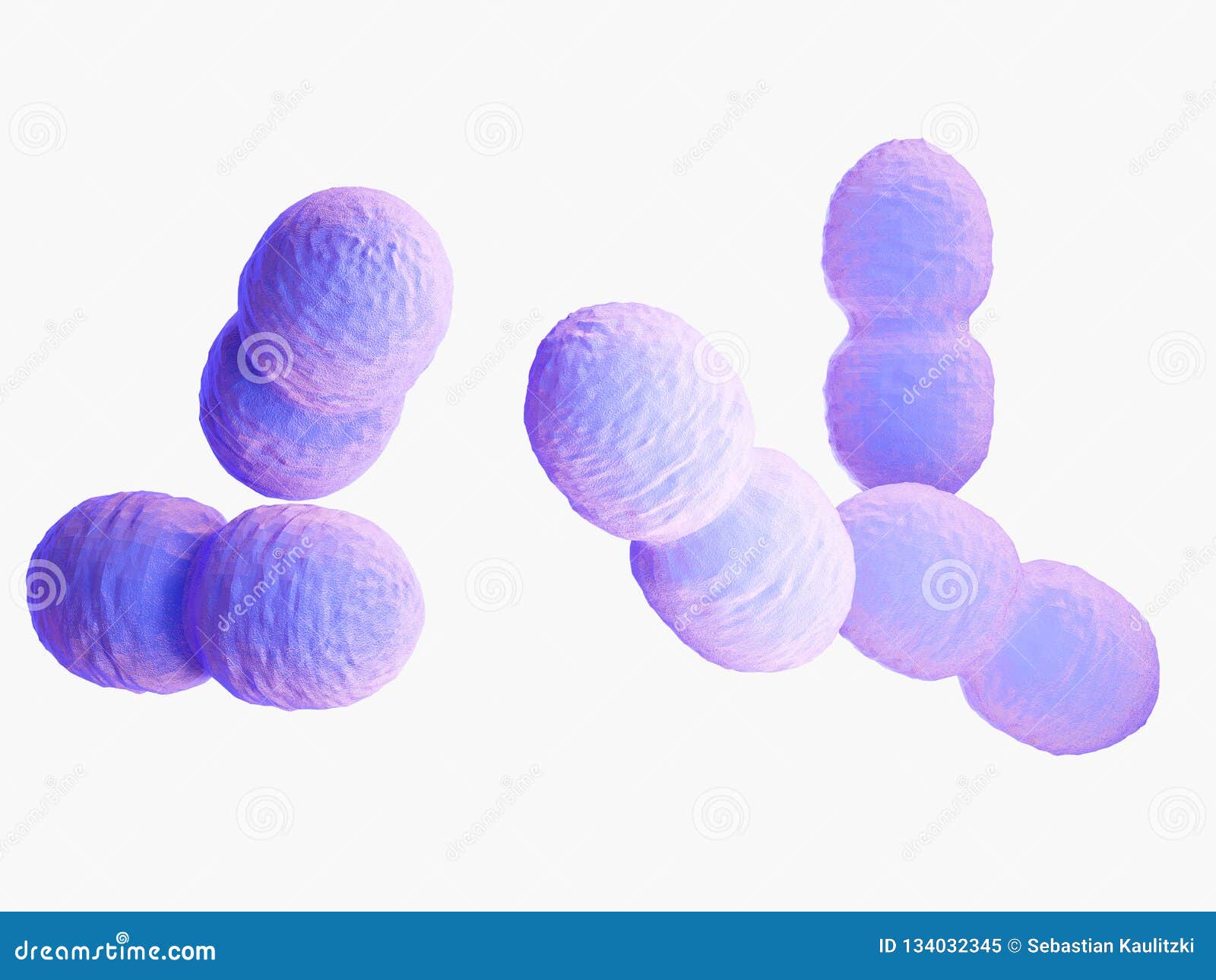 An enterococcus bacteria stock illustration. Illustration of faecium ...