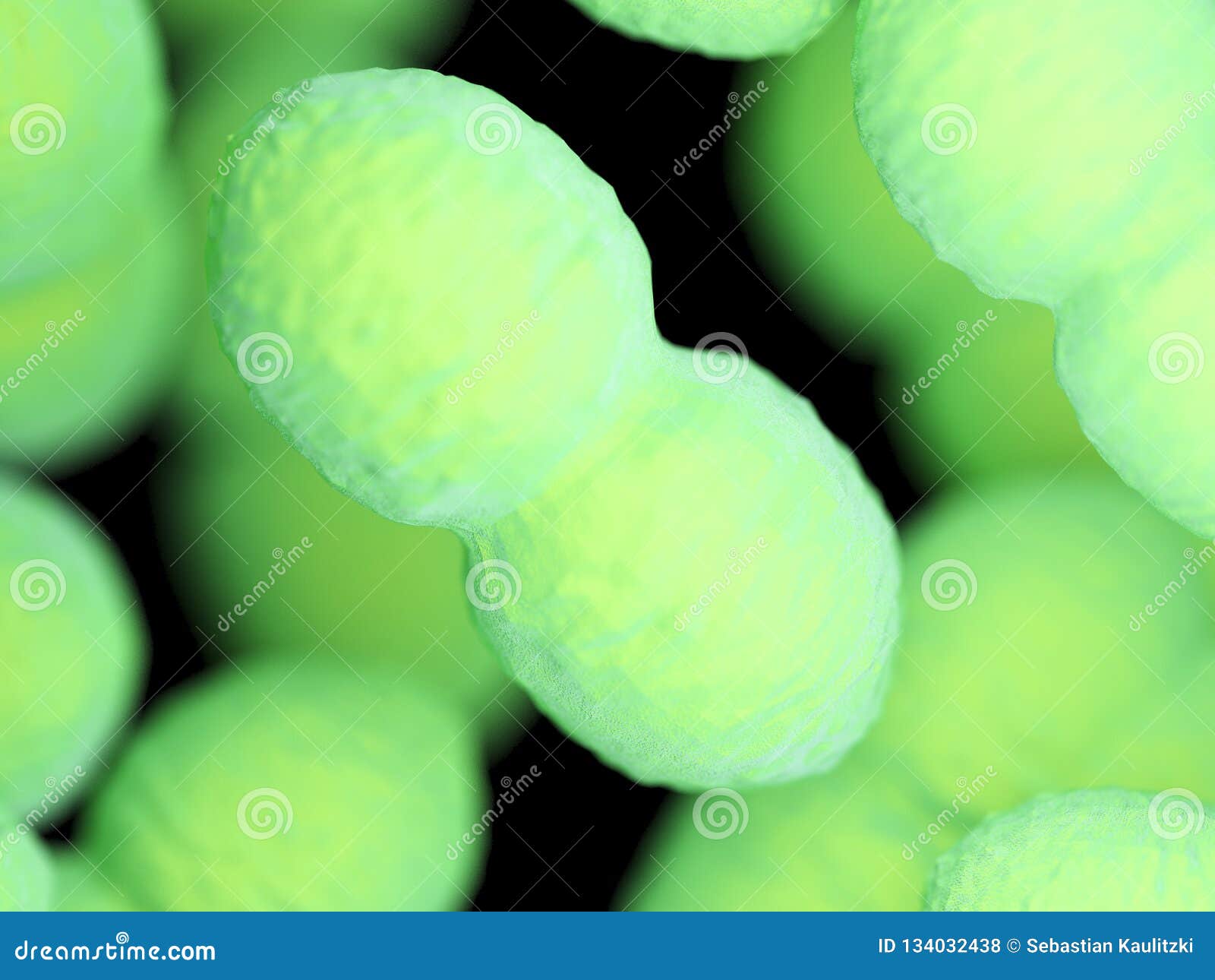 An enterococcus bacteria stock illustration. Illustration of medically ...