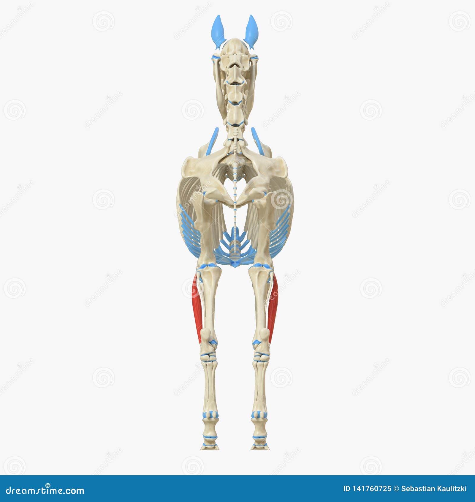 Common Digital Extensor stock illustration. Illustration of ...