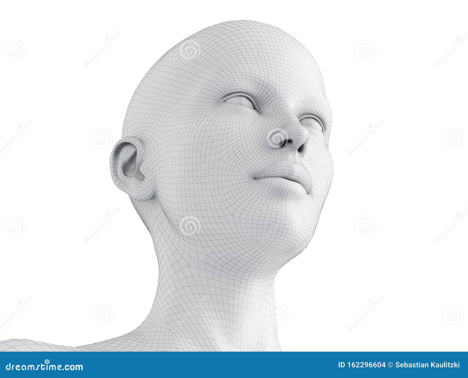A female wireframe head stock illustration. Illustration of female ...