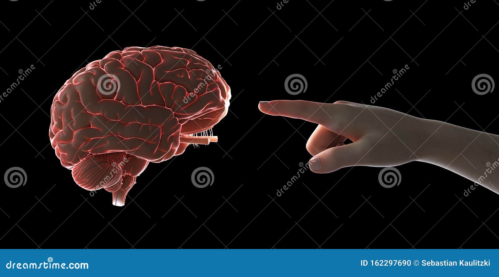 A Finger Reaching for a Brain Stock Illustration - Illustration of ...