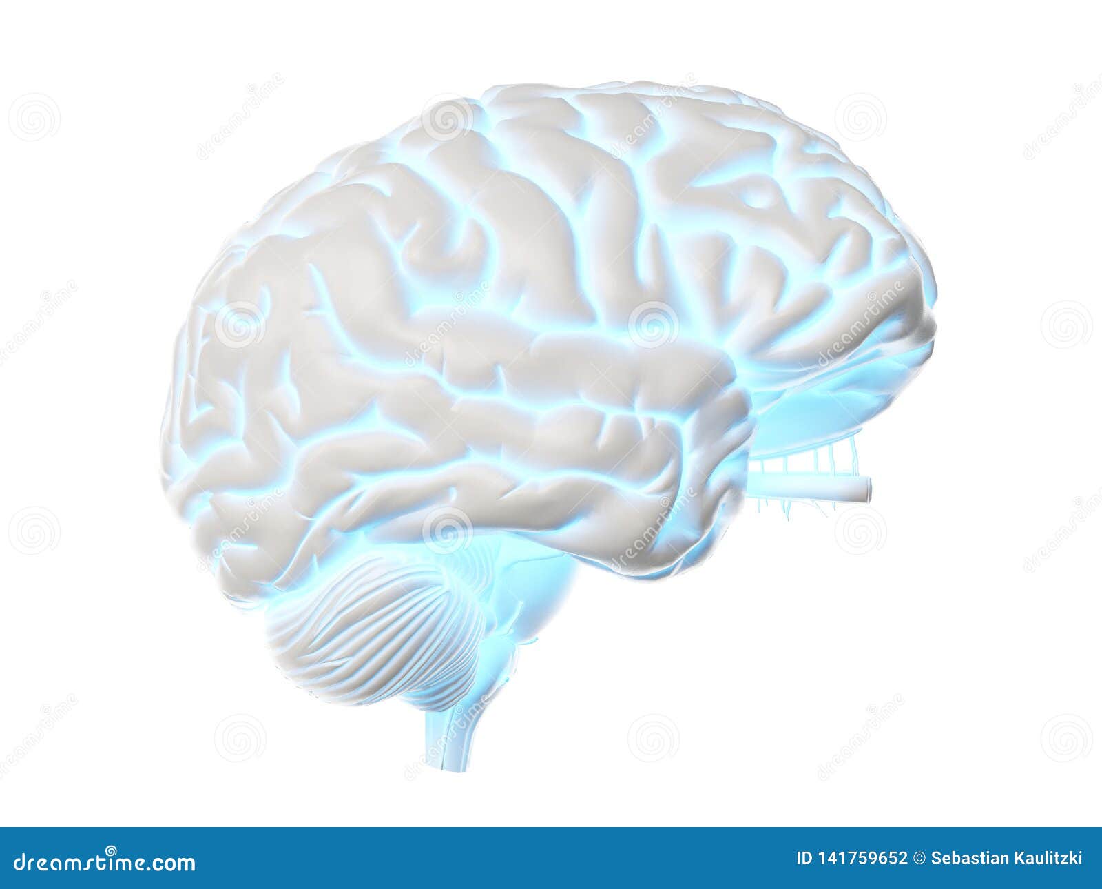 A glowing brain stock illustration. Illustration of human - 141759652
