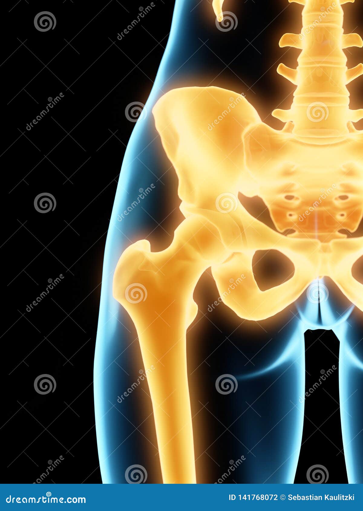 The hip joint stock illustration. Illustration of internal - 141768072