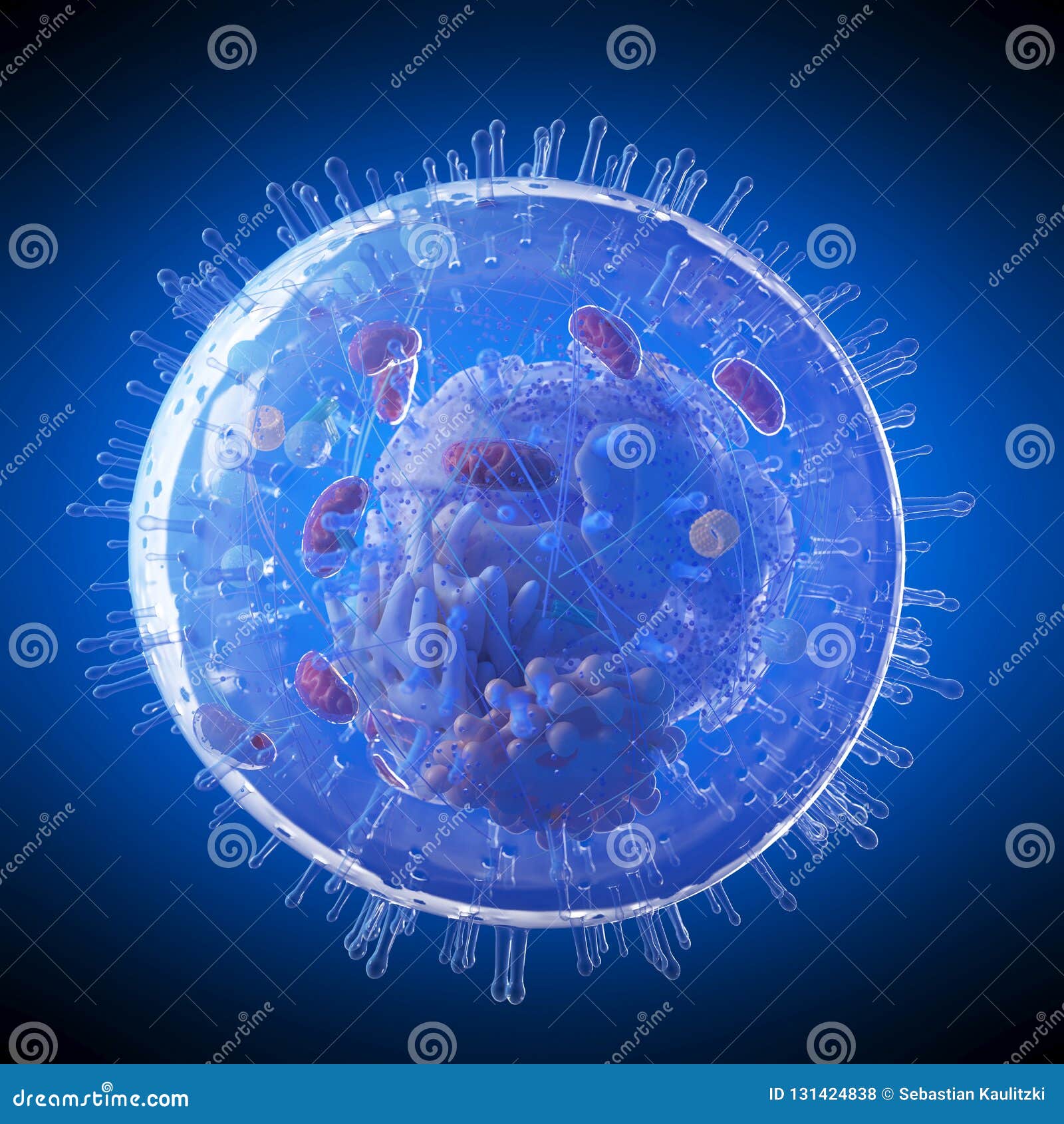 A human cell stock illustration. Illustration of graphic - 131424838