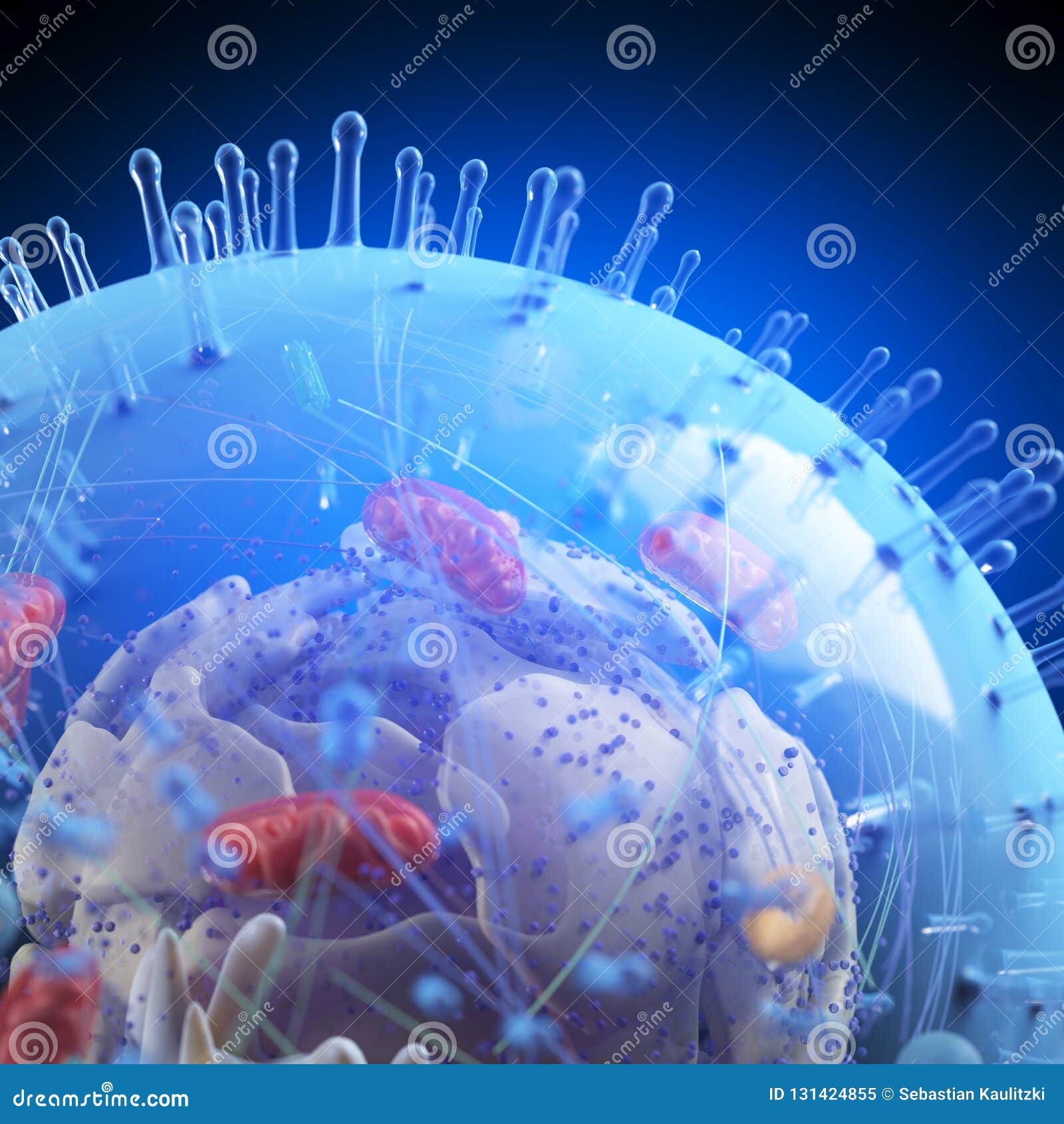 A human cell stock illustration. Illustration of medical - 131424855