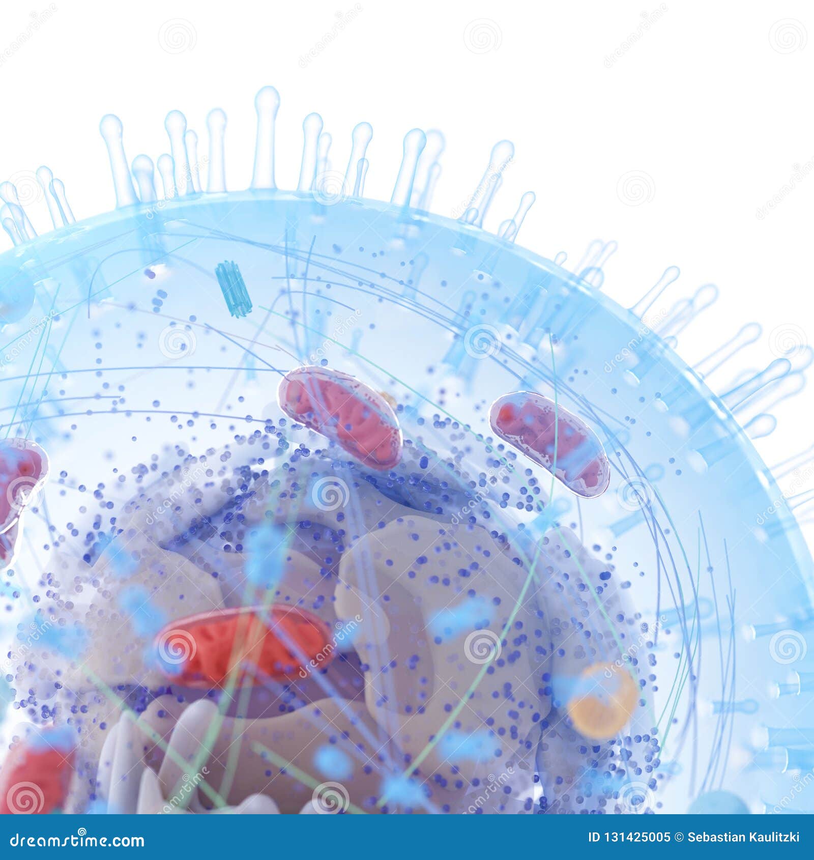 A human cell stock illustration. Illustration of science - 131425005