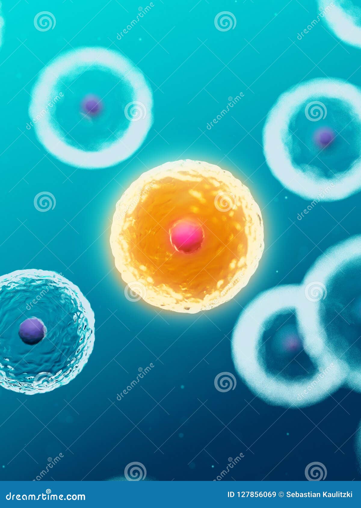 Human cells stock image. Image of research, cells, gamete - 127856069