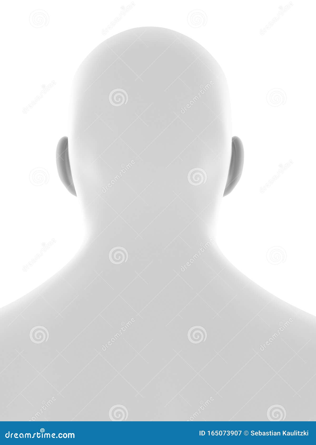 The human head stock illustration. Illustration of anatomy - 165073907