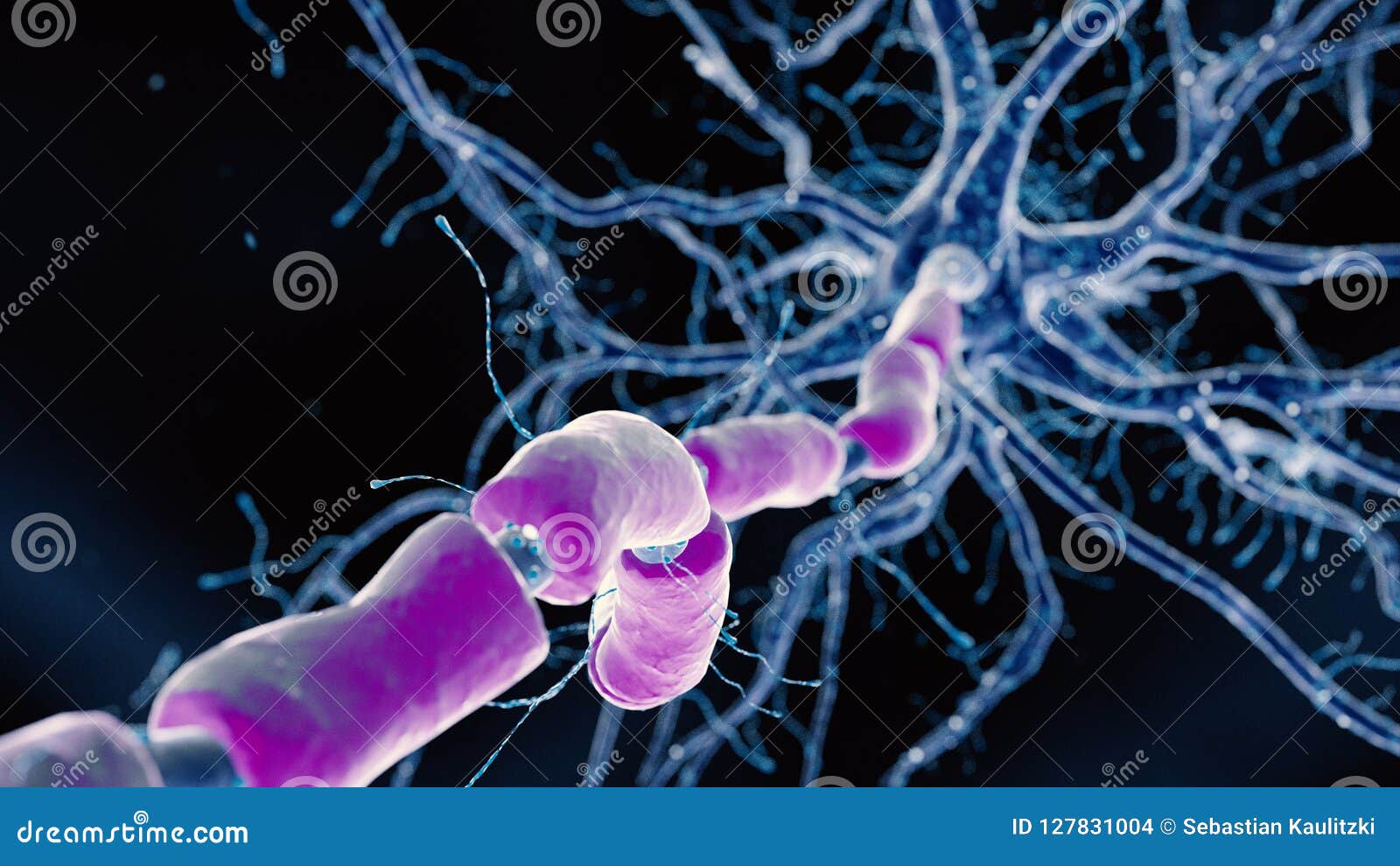 A human nerve cell stock illustration. Illustration of connection ...