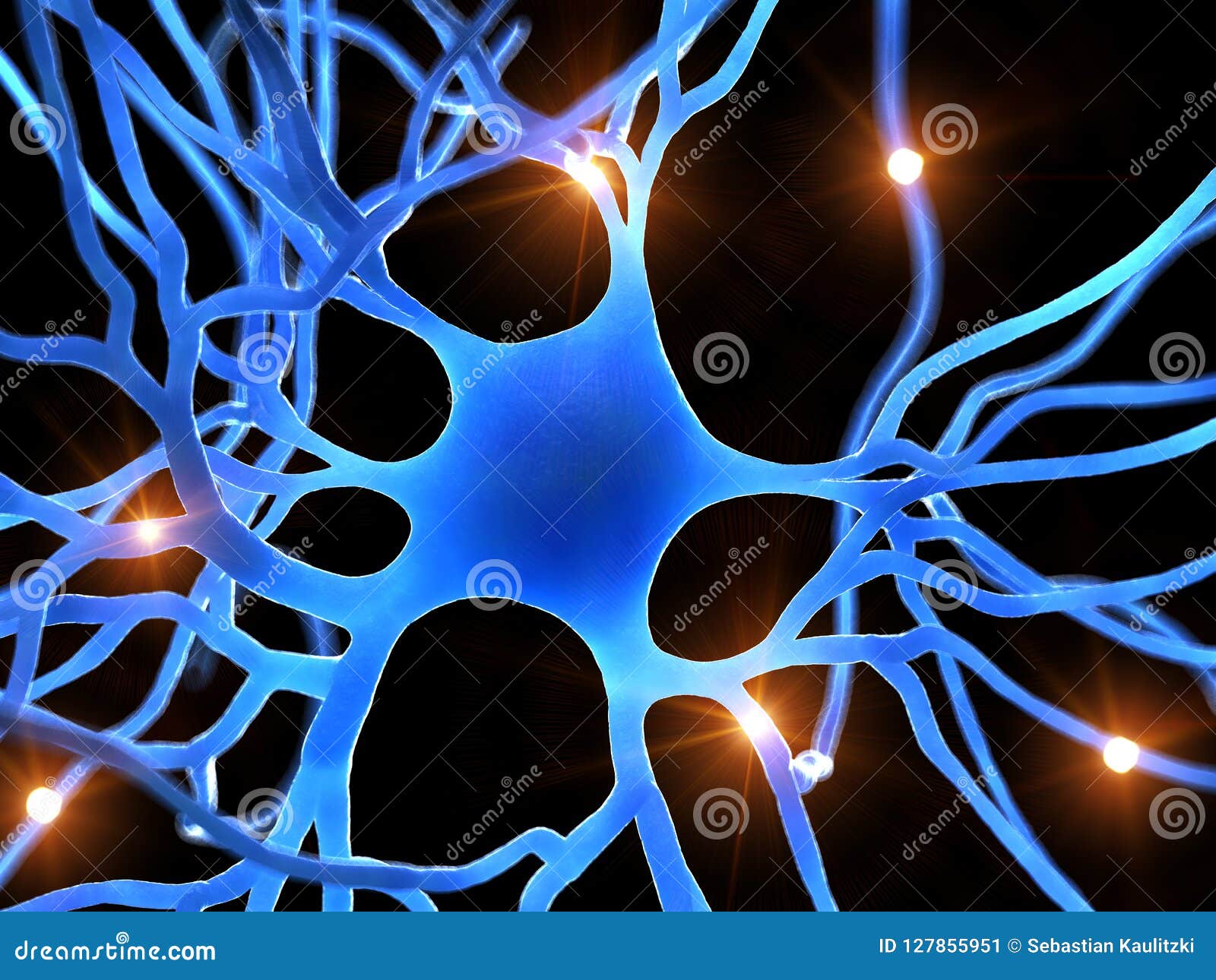 A human nerve cell stock illustration. Illustration of cell - 127855951