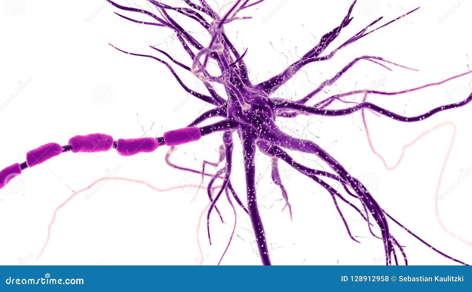 A human nerve cell stock illustration. Illustration of dendrite - 128912958