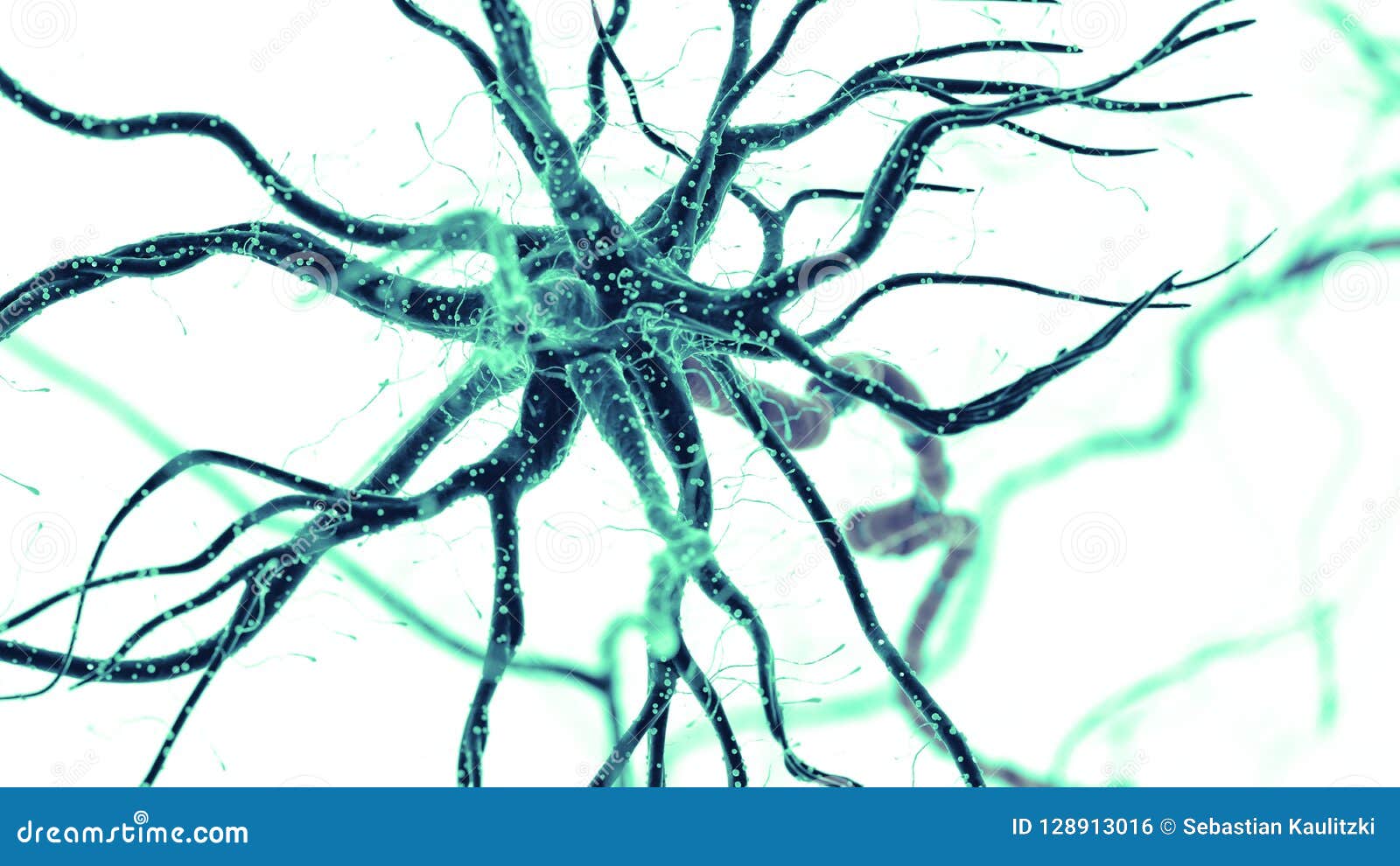 A human nerve cell stock illustration. Illustration of neurology ...
