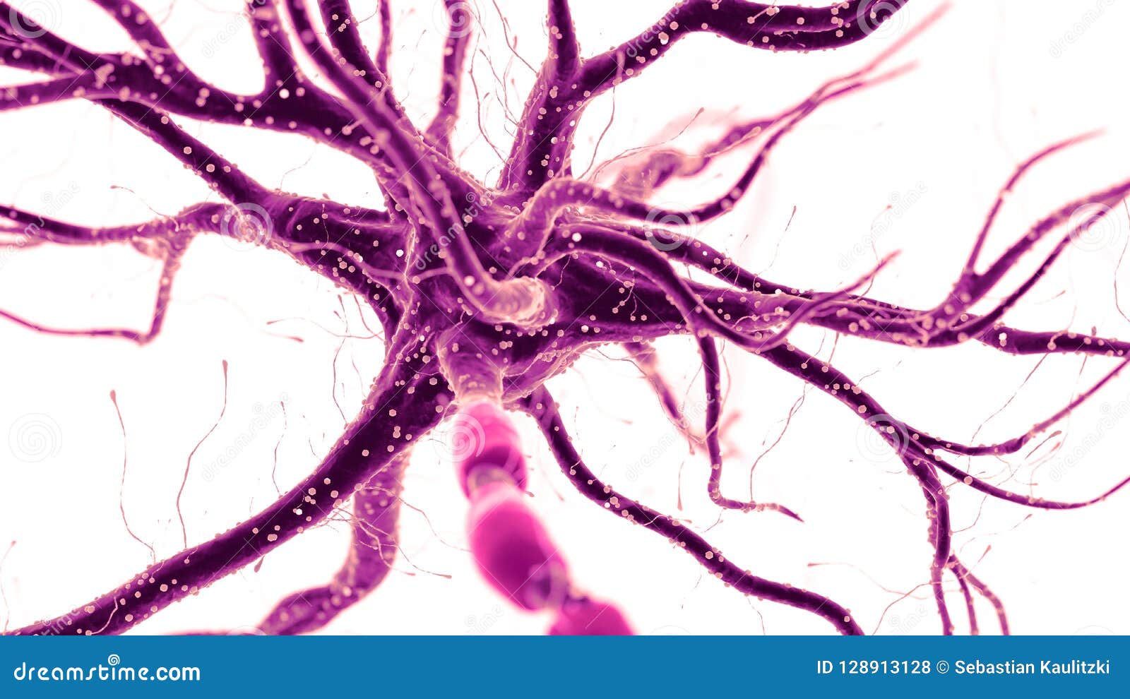 A human nerve cell stock illustration. Illustration of cell - 128913128