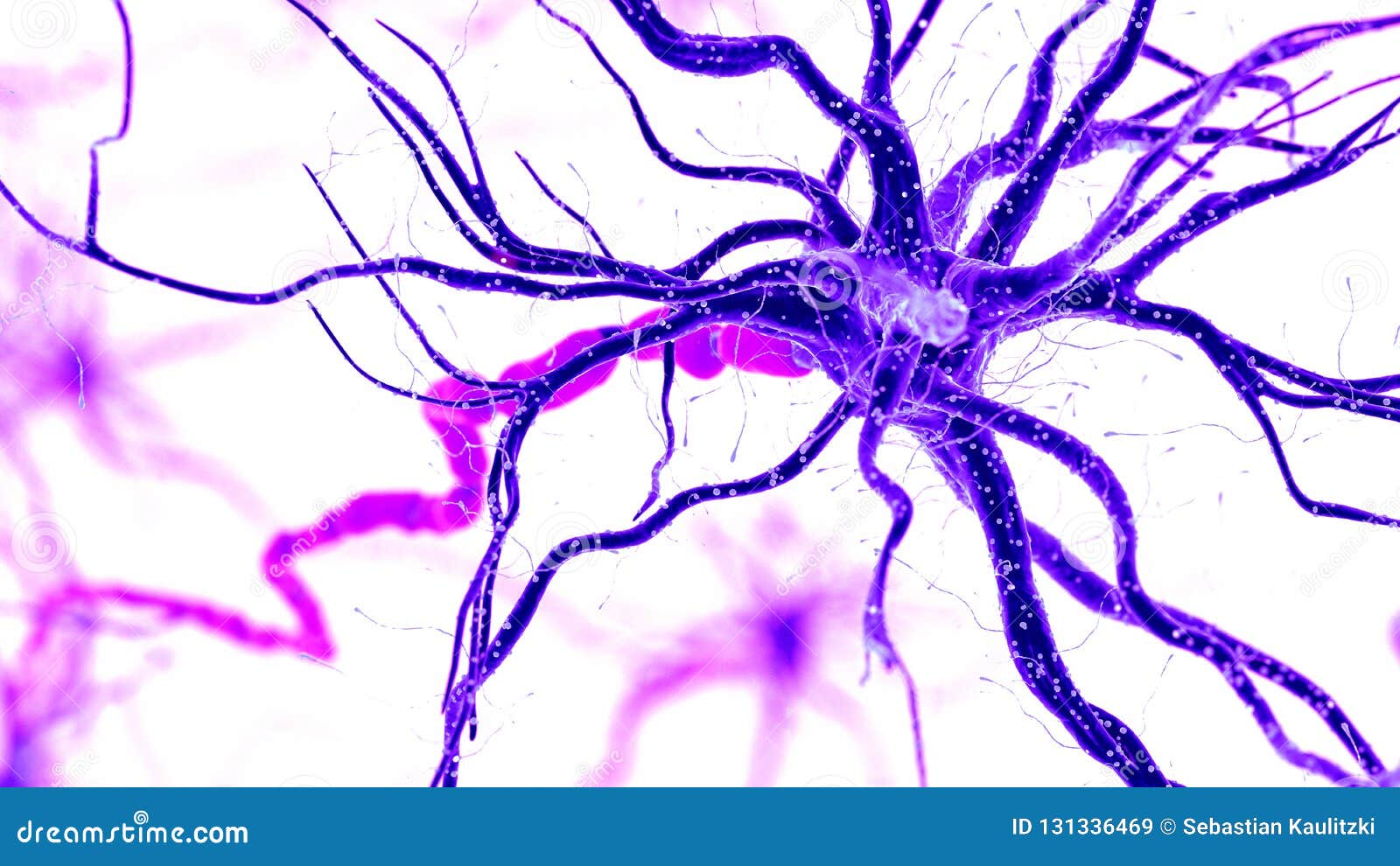 A nerve cell stock illustration. Illustration of neurology - 131336469