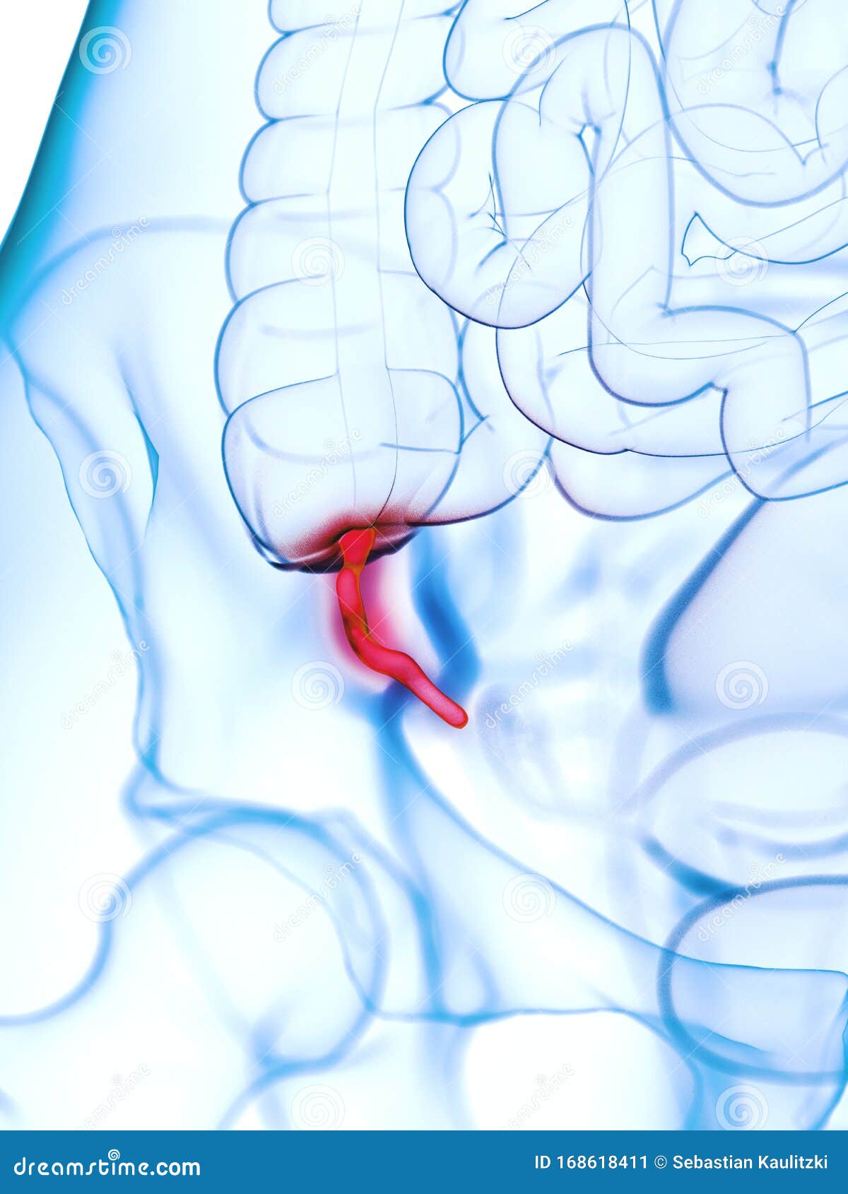 Appendix Cartoons, Illustrations & Vector Stock Images - 5563 Pictures ...