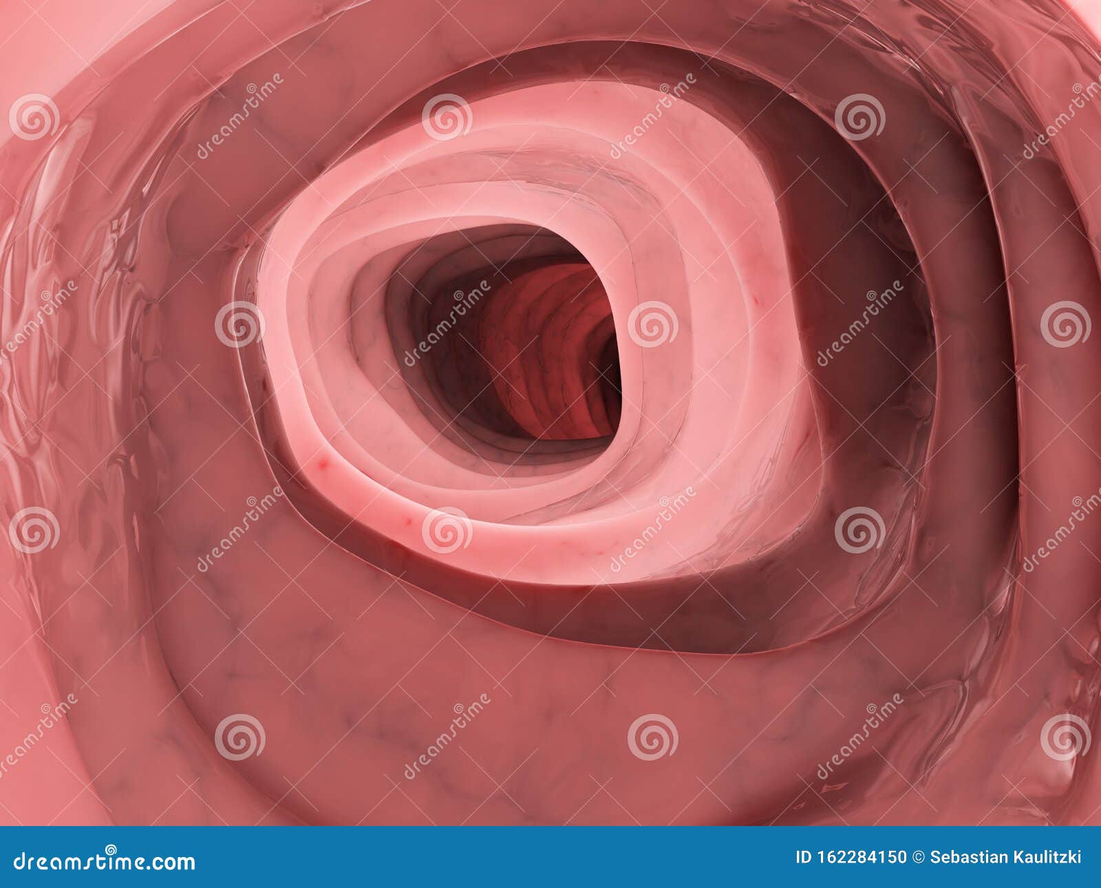 The Inside of the Human Colon Stock Illustration - Illustration of ...