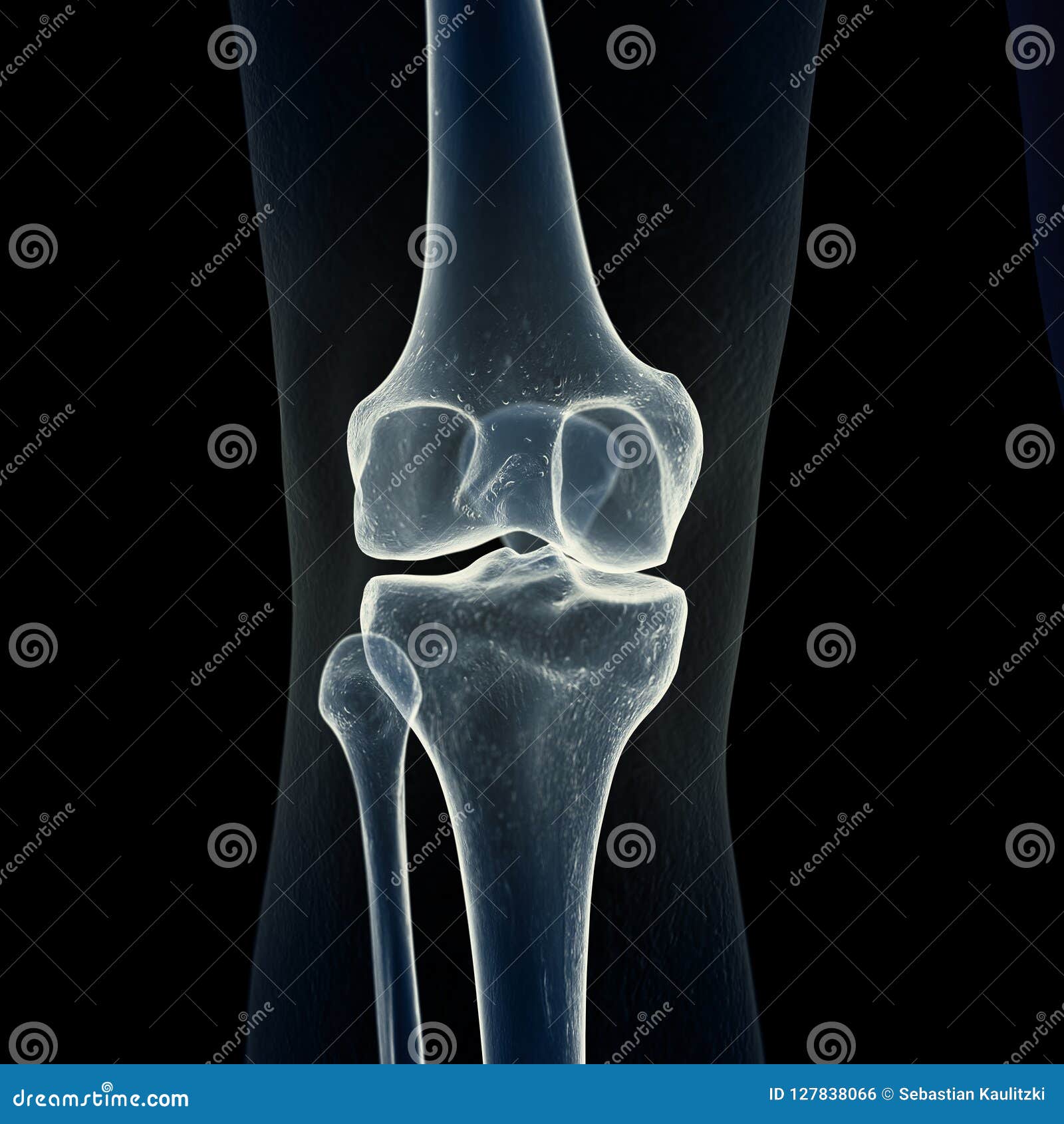 Knee Bones Icon. Human Knee Joint Vector Illustration | CartoonDealer ...