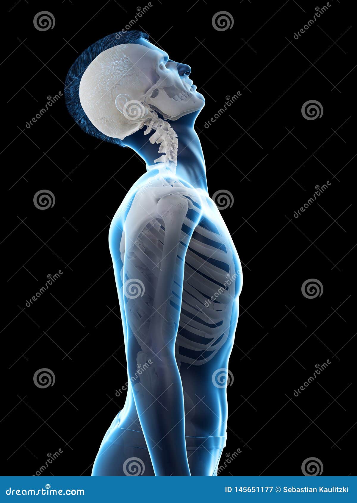 A mans neck stock illustration. Illustration of skeleton - 145651177