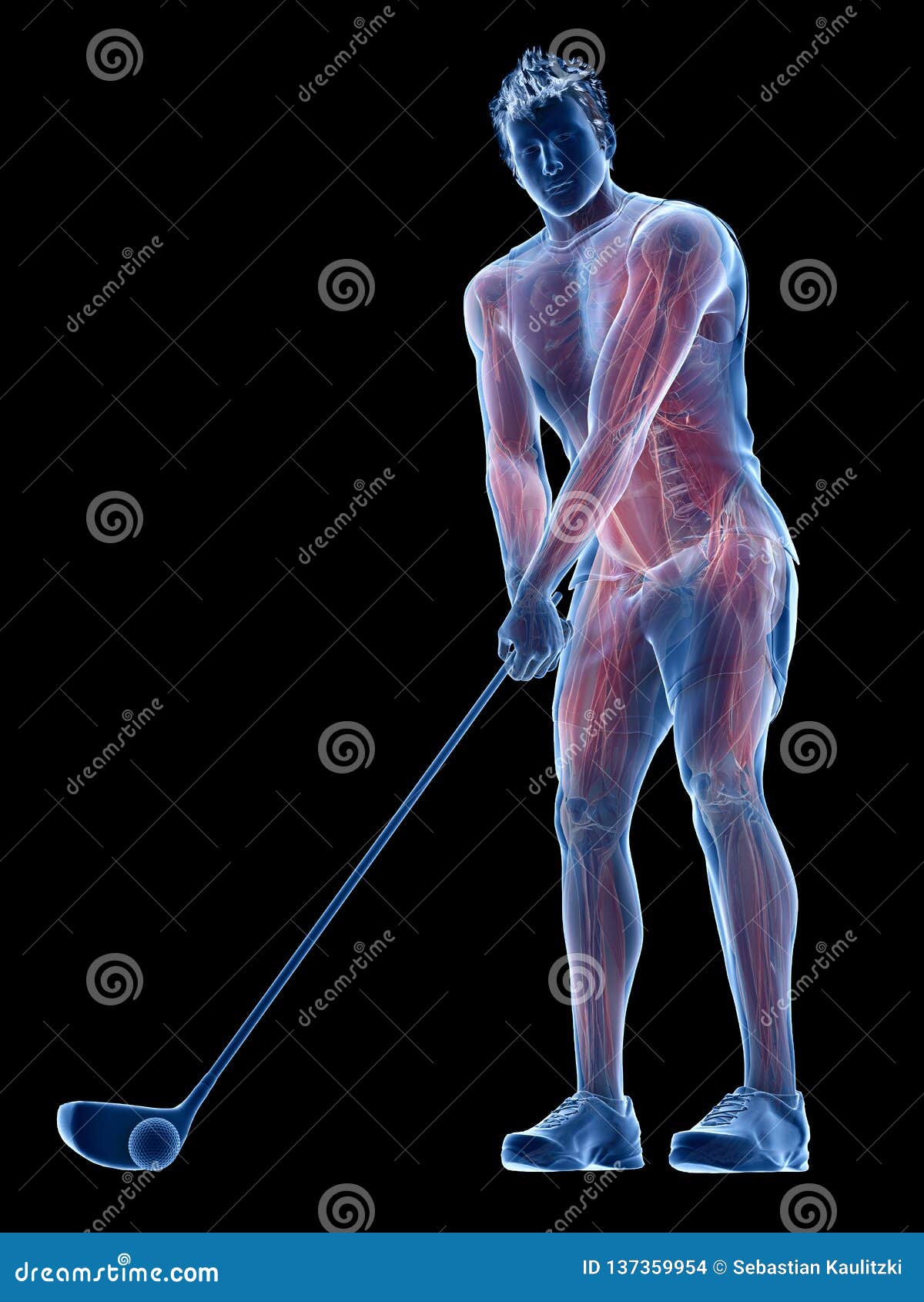 The Muscles of a Golf Player Stock Illustration - Illustration of black ...