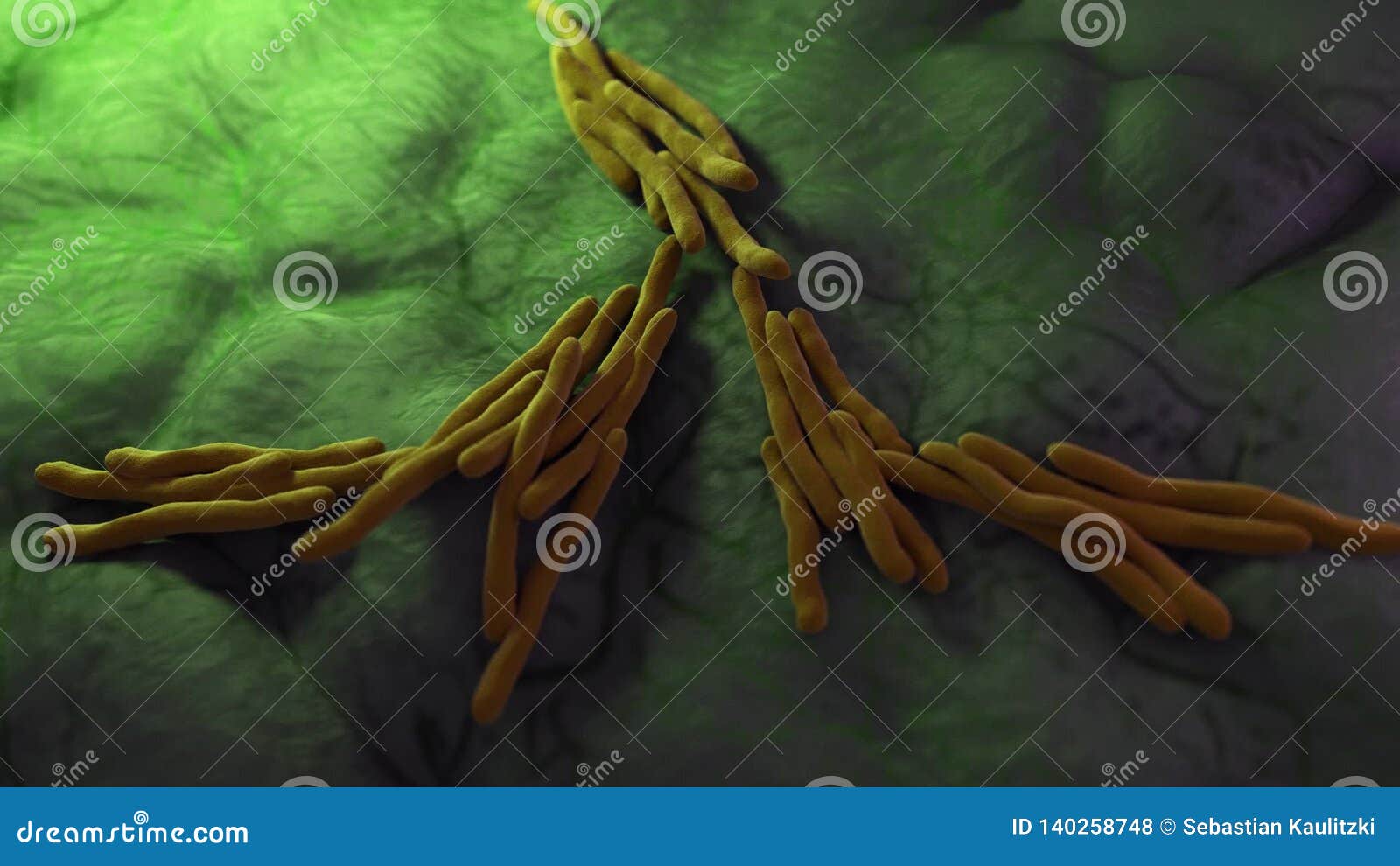 Mycobacterium Cartoons, Illustrations & Vector Stock Images - 2555 ...