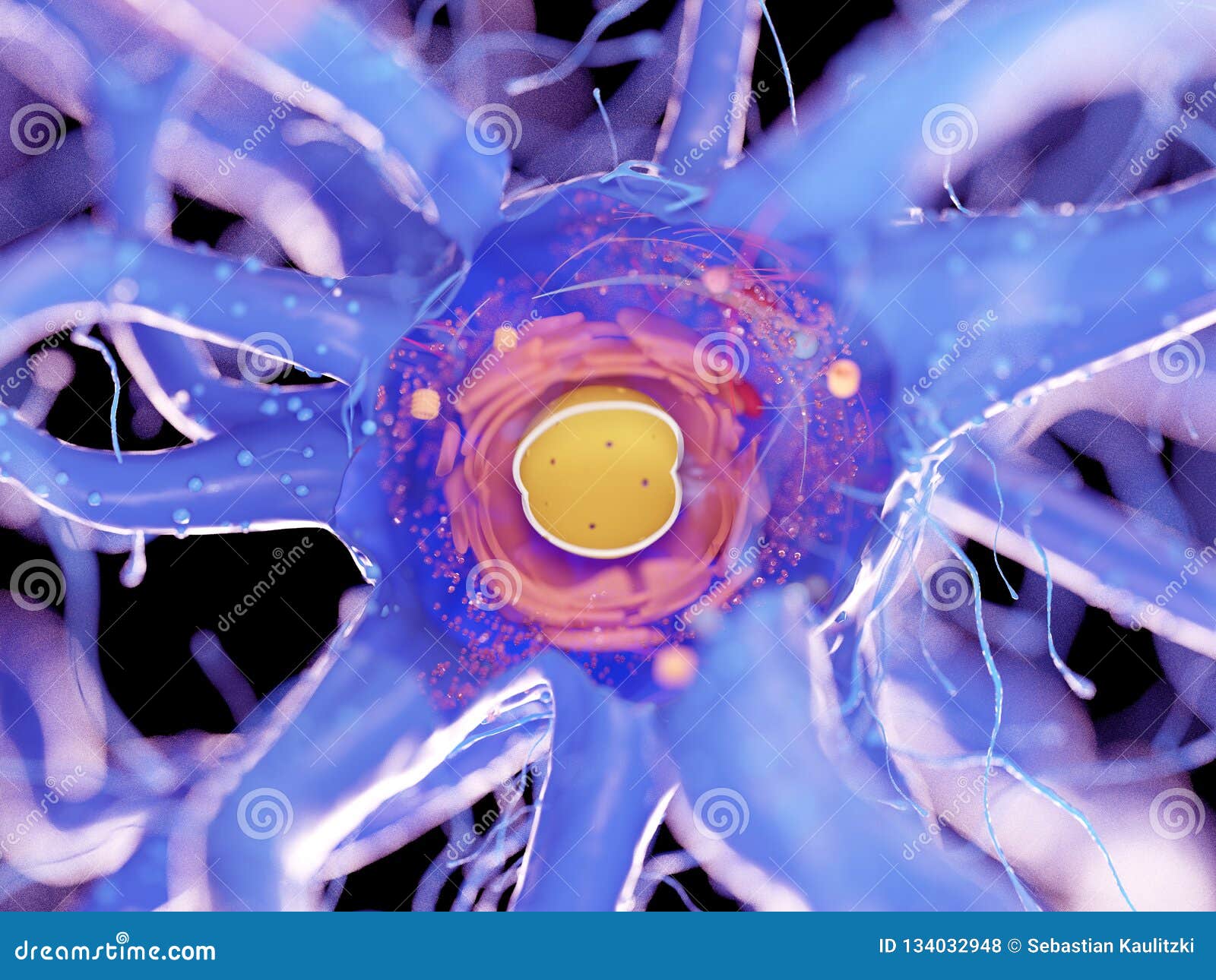 A nerve cell cross-section stock illustration. Illustration of ...