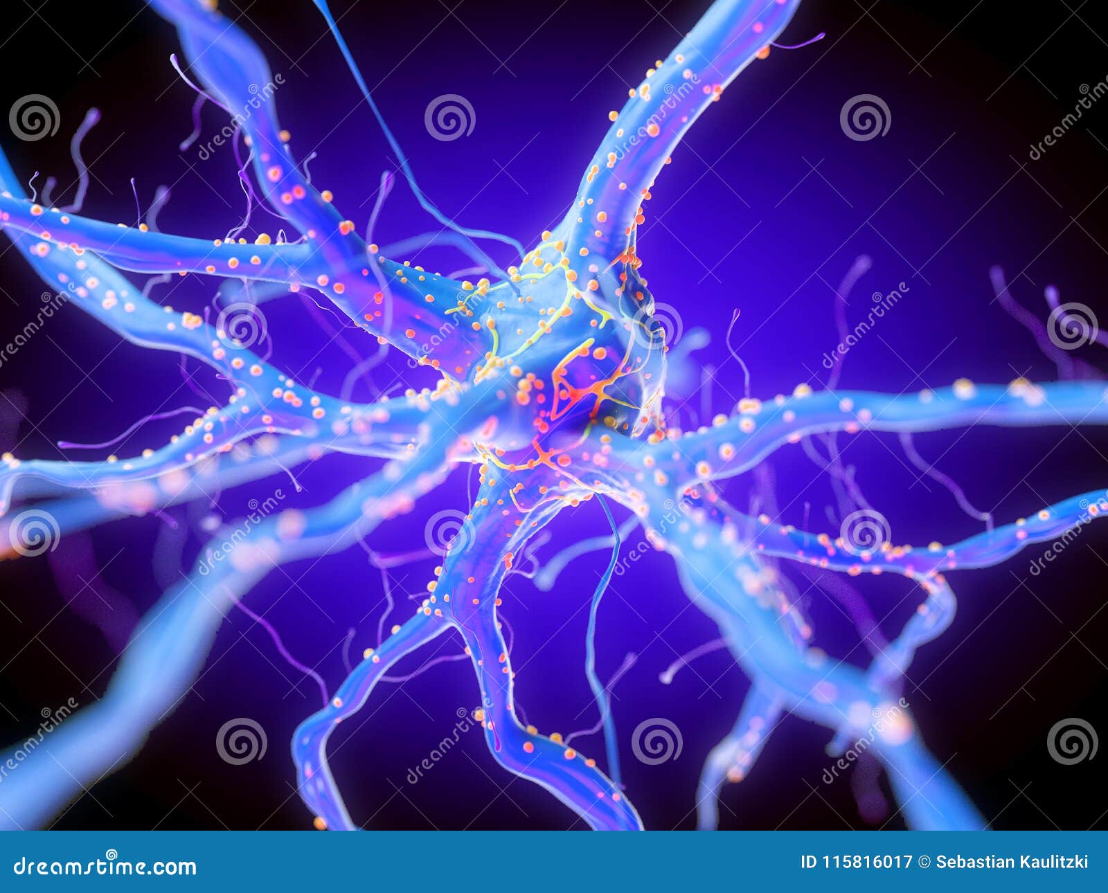 A nerve cell stock illustration. Illustration of neural - 115816017