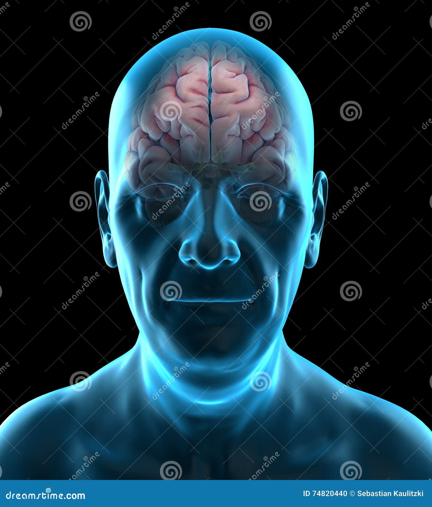 Old guys brain stock illustration. Illustration of dialysis - 74820440