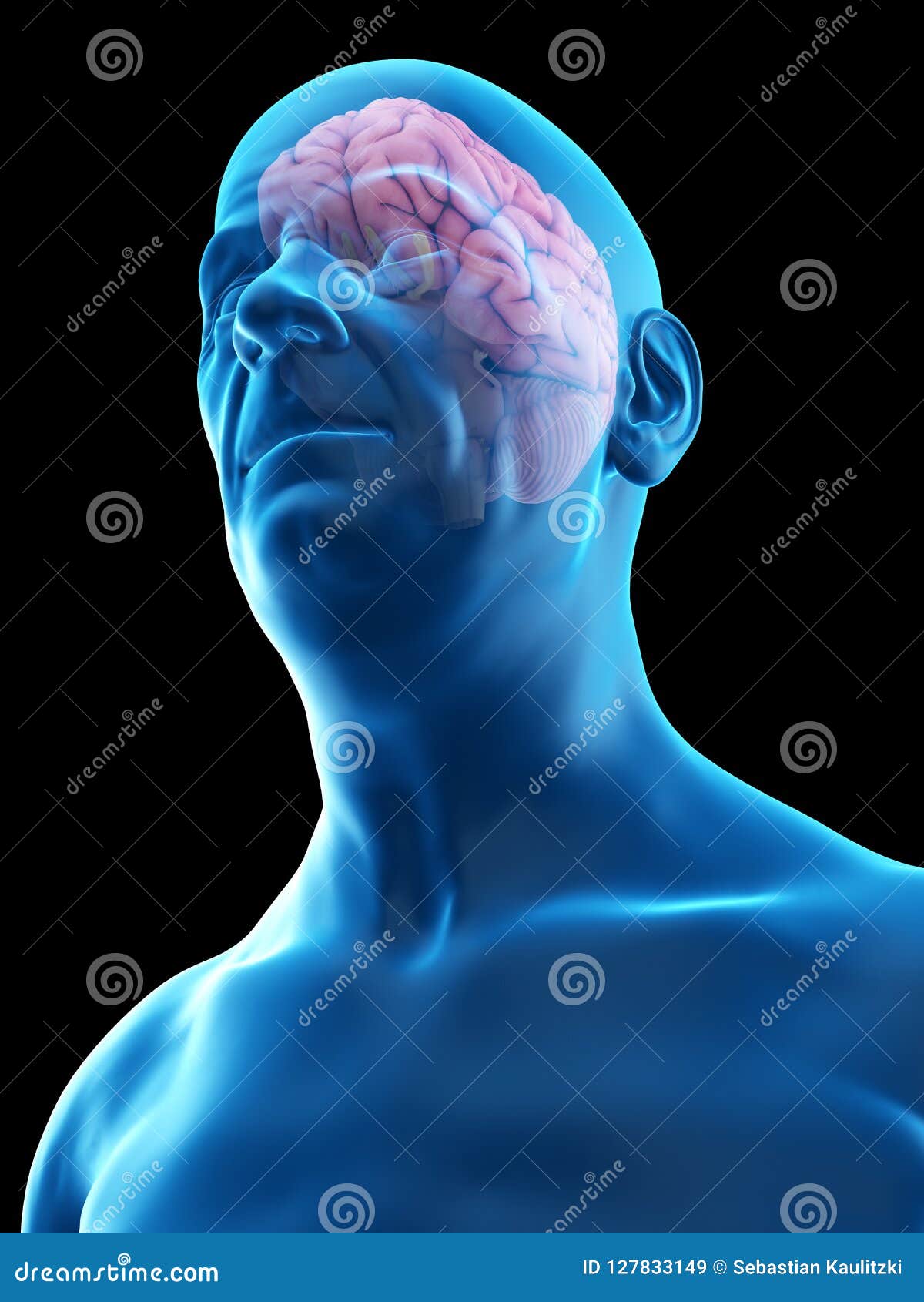 An old mans brain stock illustration. Illustration of mans - 127833149