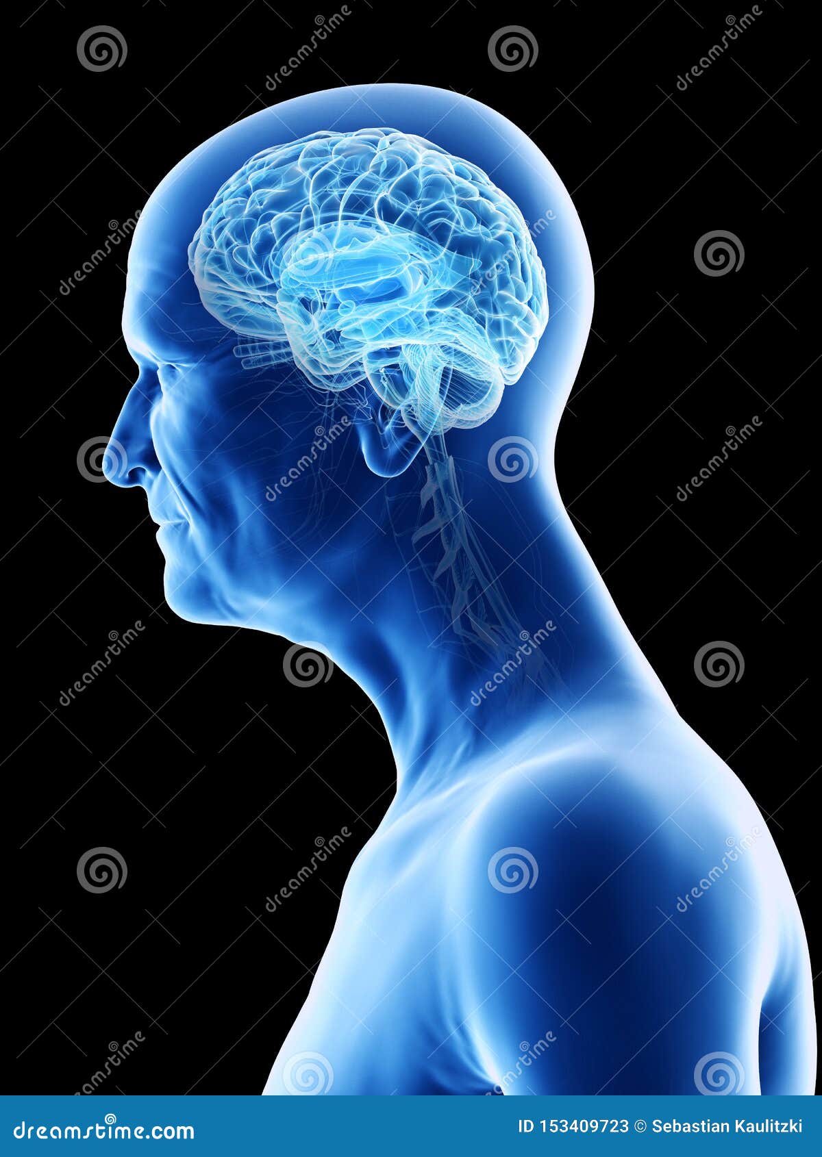 An old mans brain stock illustration. Illustration of elder - 153409723