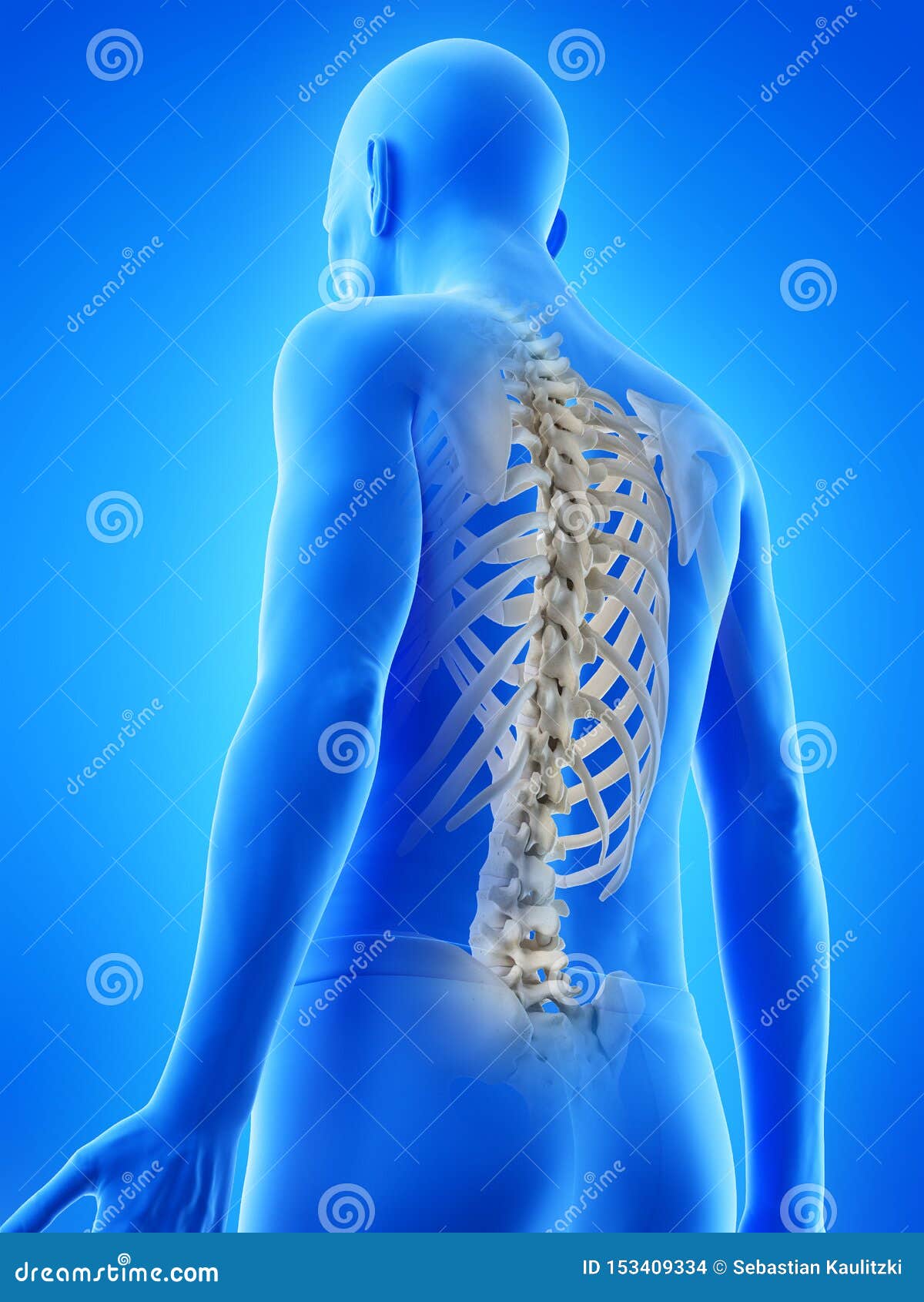 An old mans skeletal back stock illustration. Illustration of discs ...