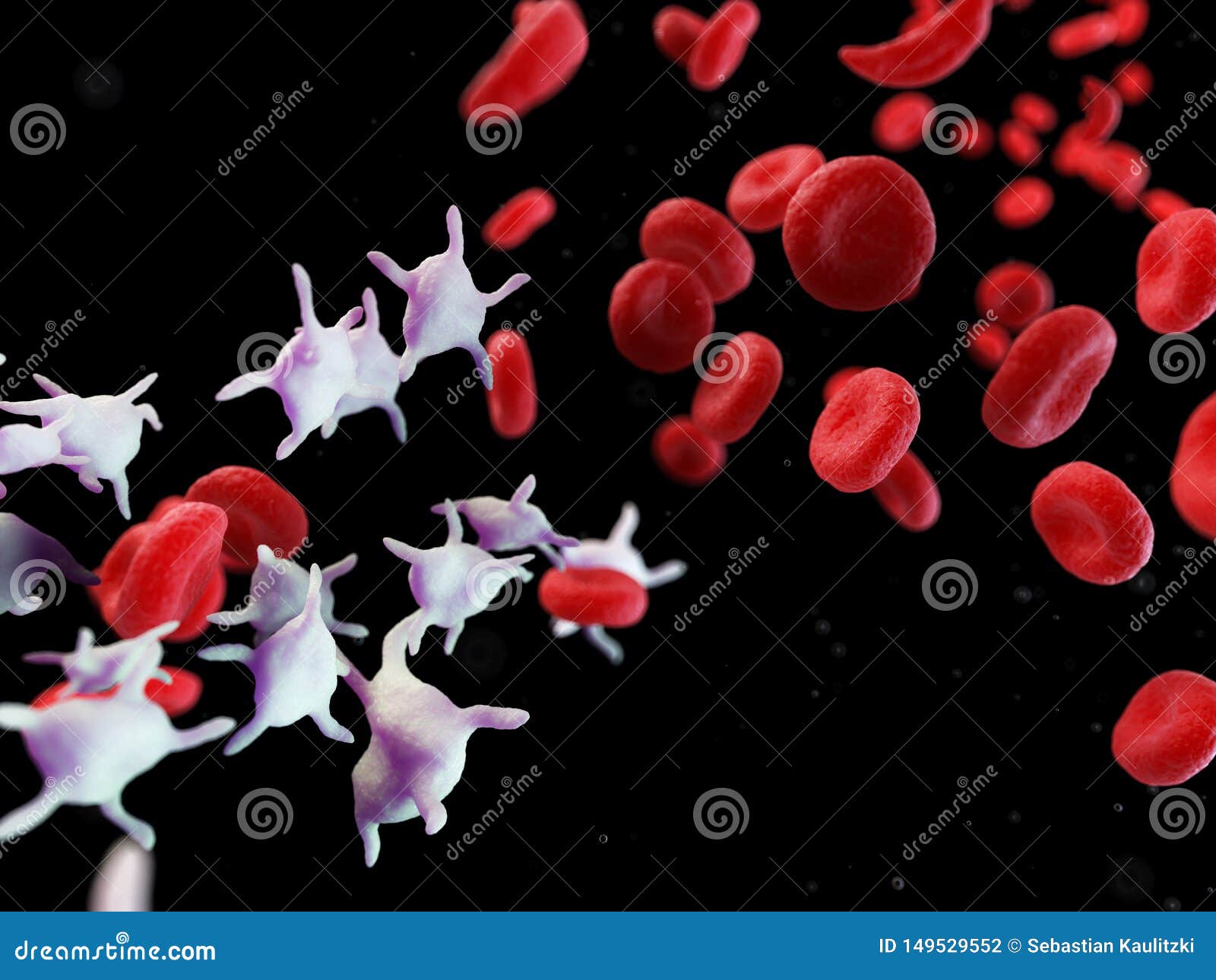 Platelets Or Thrombocyte Activation Fibrin In Blood Vessel Vector ...