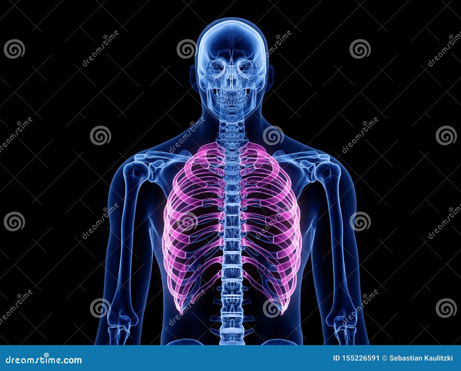 X-ray Illustration. X-ray Ribs Flat Icon On White Background. X-ray ...