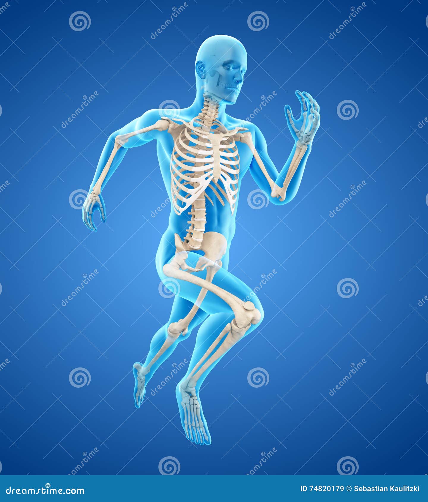 Runner skeleton stock illustration. Illustration of sports - 74820179