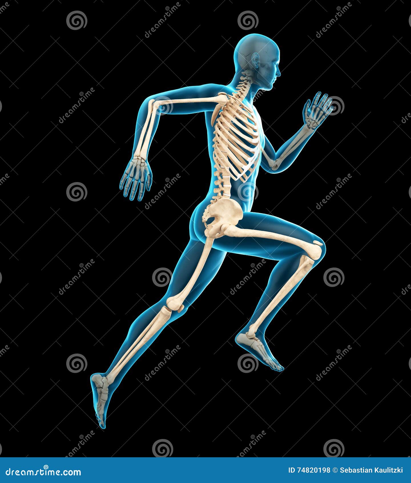 Runners skeleton stock illustration. Illustration of people - 74820198