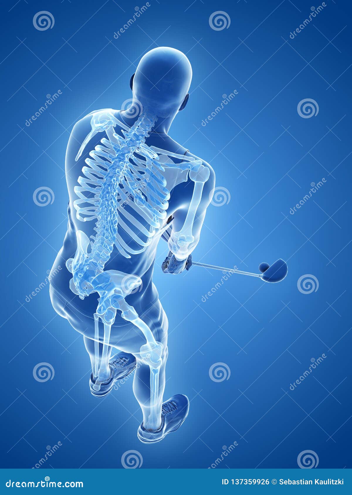 The Skeleton of a Golf Player Stock Illustration - Illustration of ...