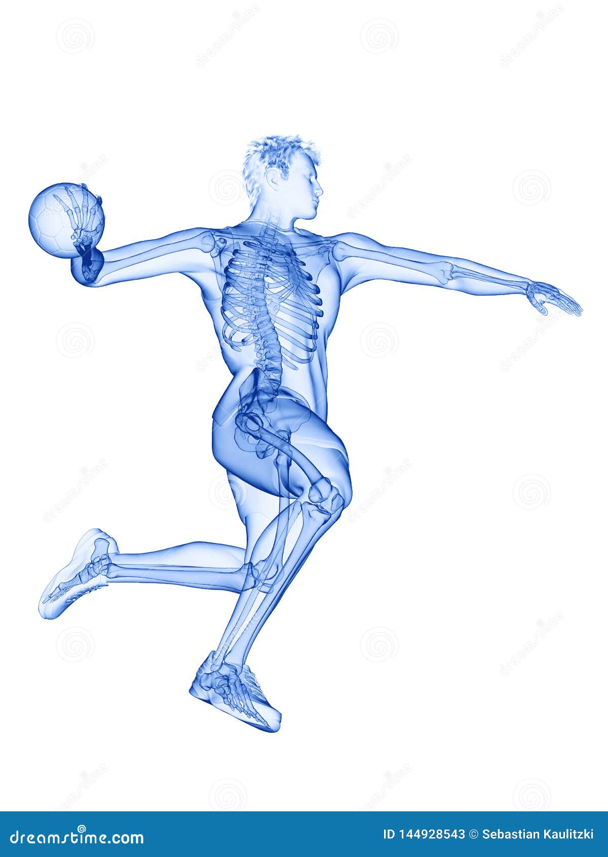 The Skeleton of a Handball Player Stock Illustration - Illustration of ...