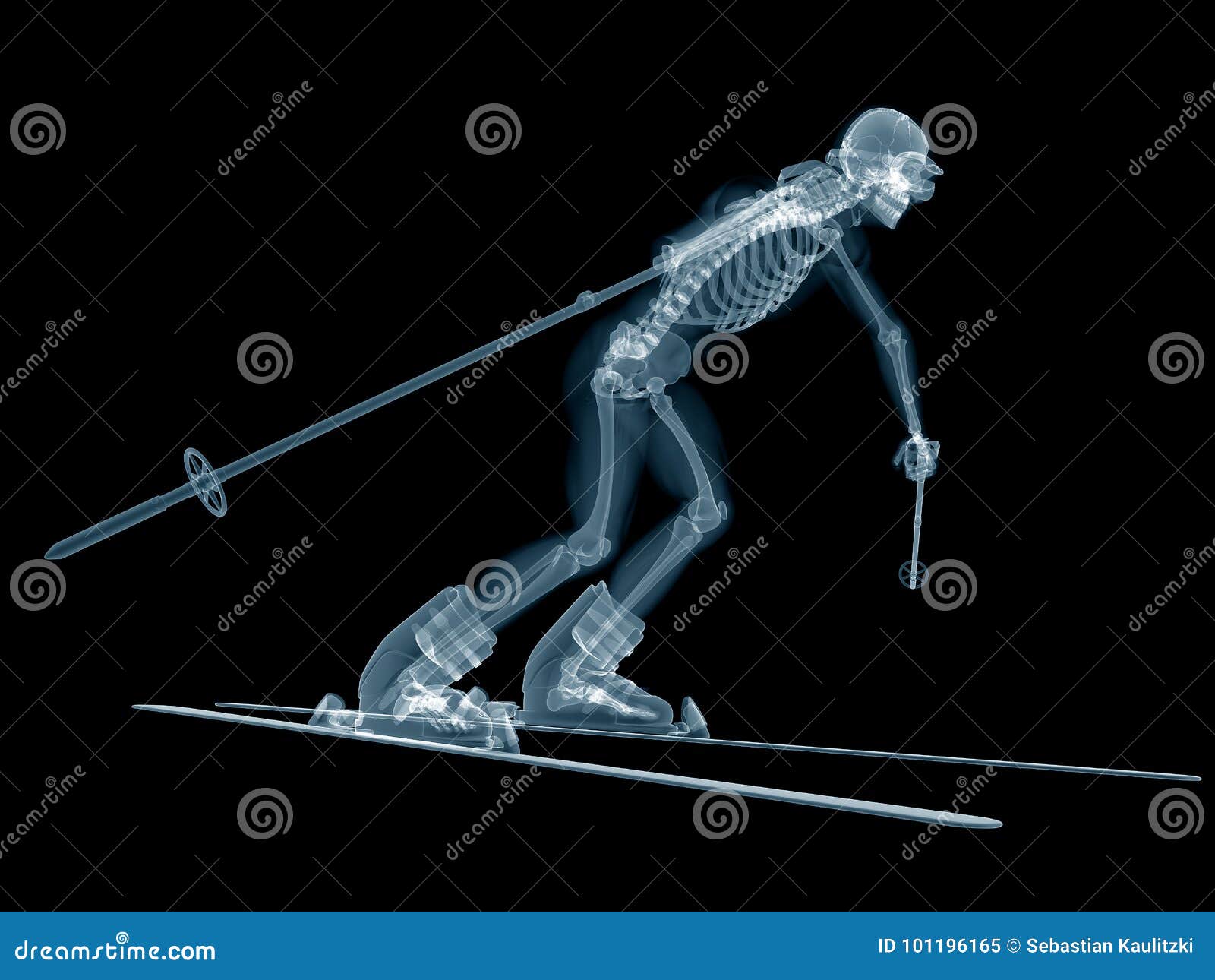 A skier x-ray stock illustration. Illustration of medically - 101196165
