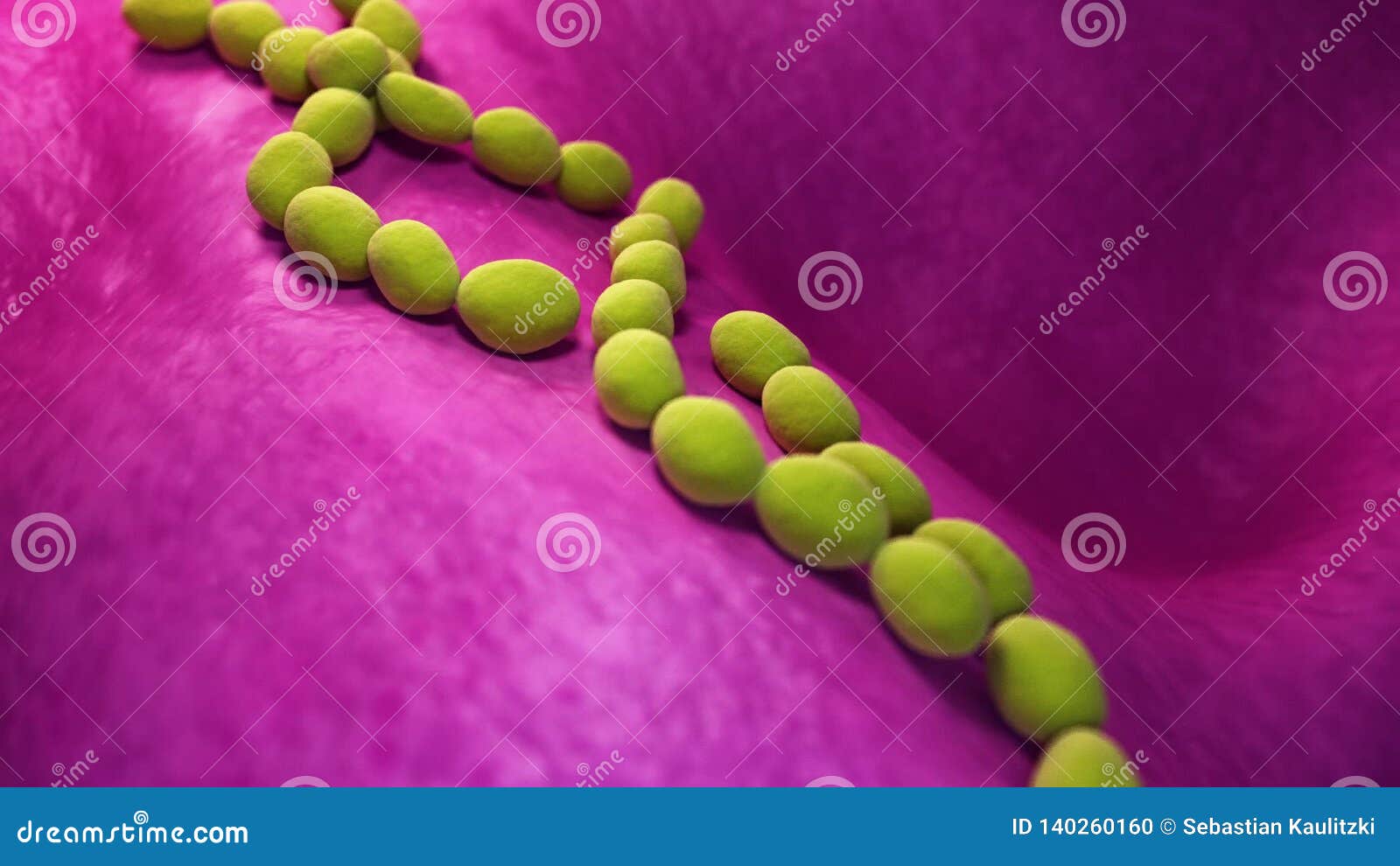 Streptococcus bacteria stock footage. Video of bacterial - 140260160