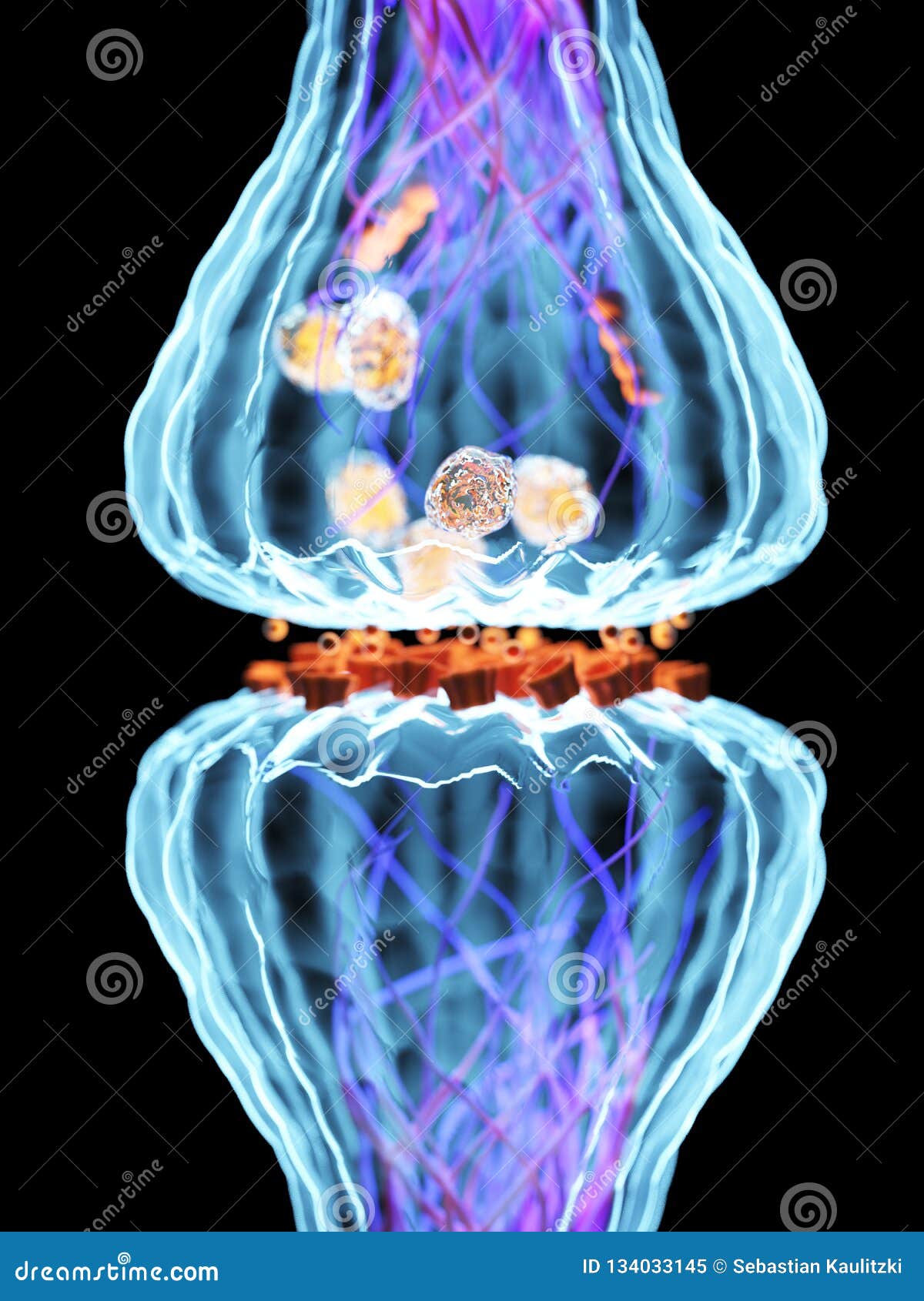 Anatomy Synapse Cells. Transmission Signal Of Impulse In A Living ... Anatomy Synapse Cells. Transmission Signal Of Impulse In A Living ...