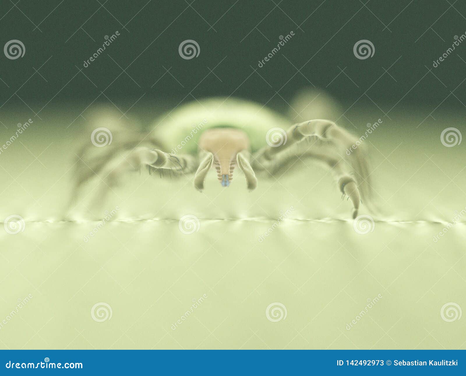A tick - sem style stock illustration. Illustration of close - 142492973