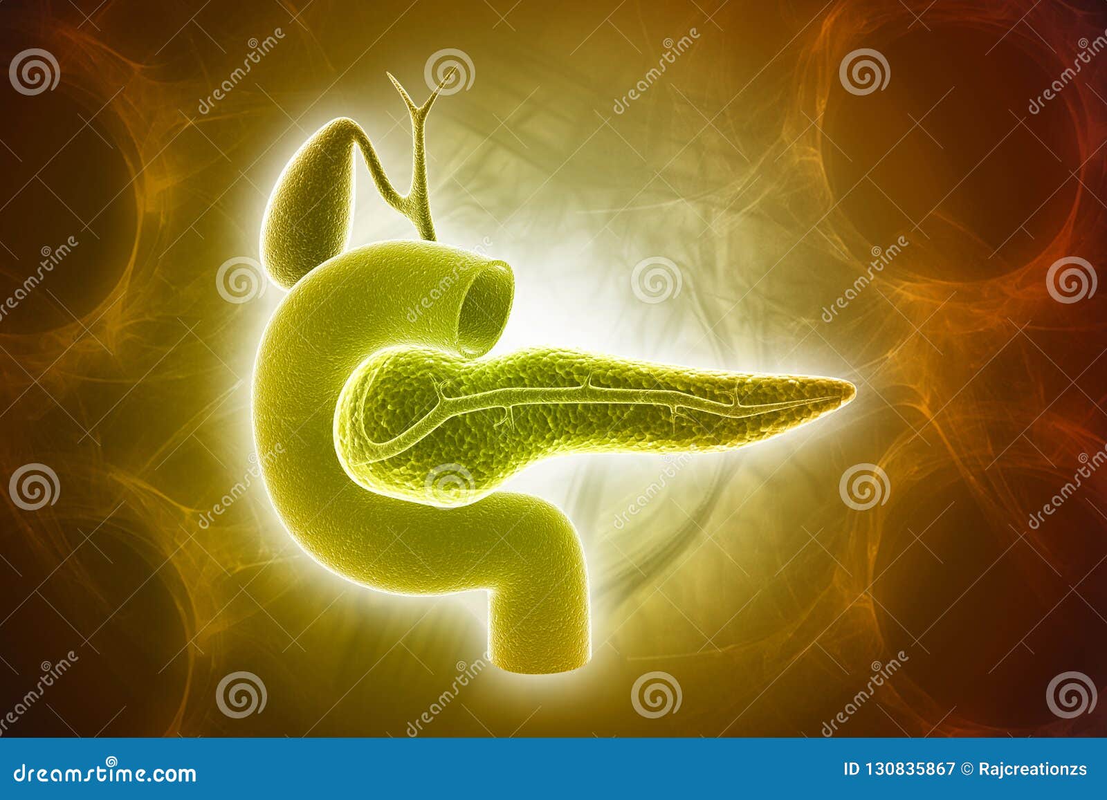 3d Rendered Pancreas Isolated on a Color Background Stock Illustration ...