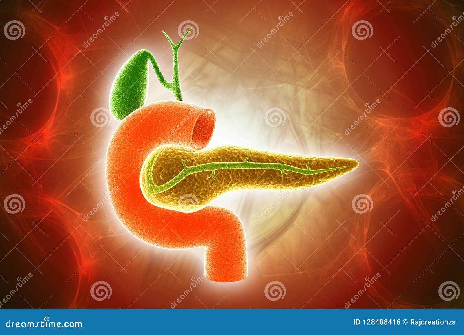 Pancreas Isolated Stock Illustrations – 4,631 Pancreas Isolated Stock ...