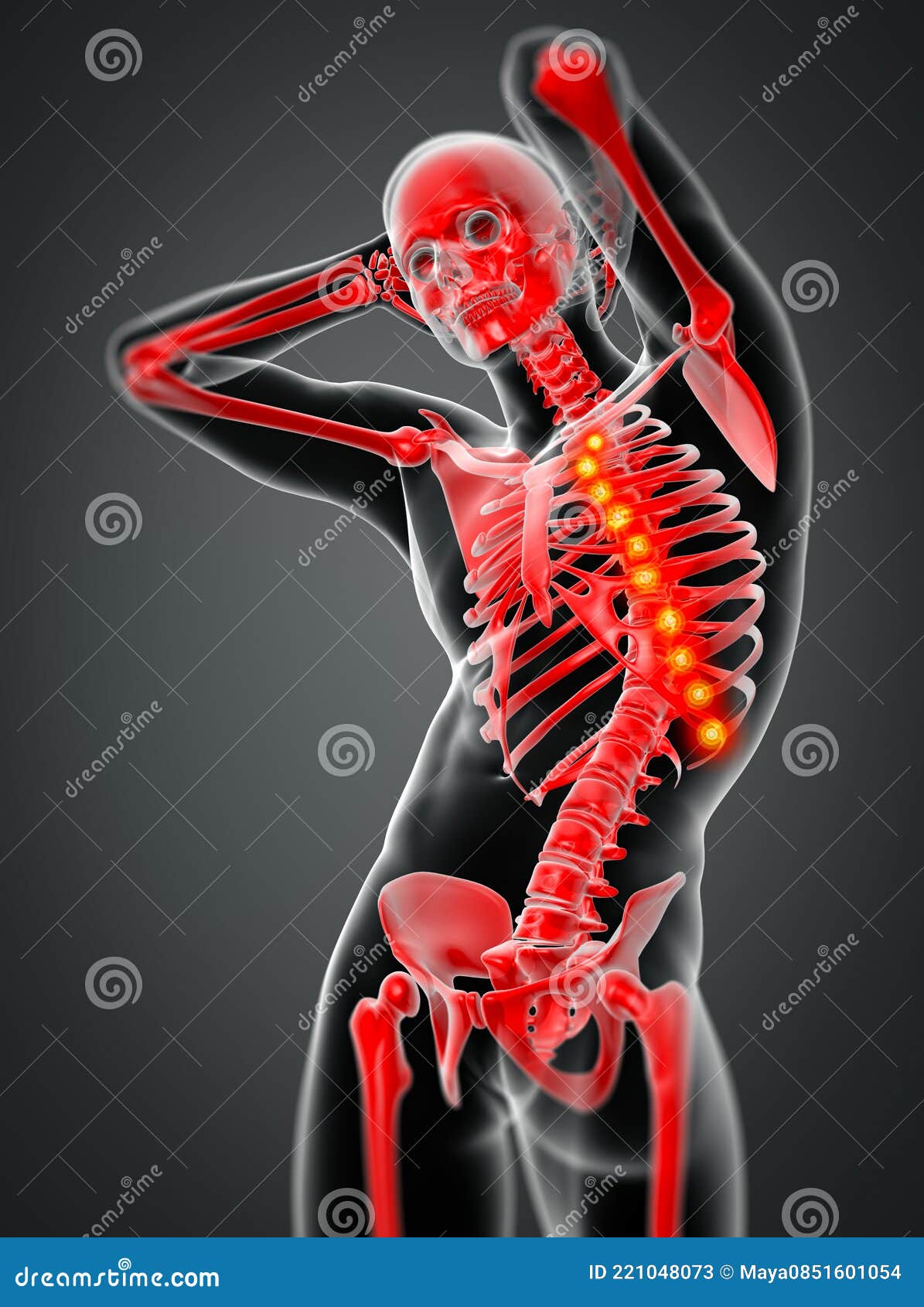 3D Rendering Illustration of Skeleton Stock Illustration - Illustration ...