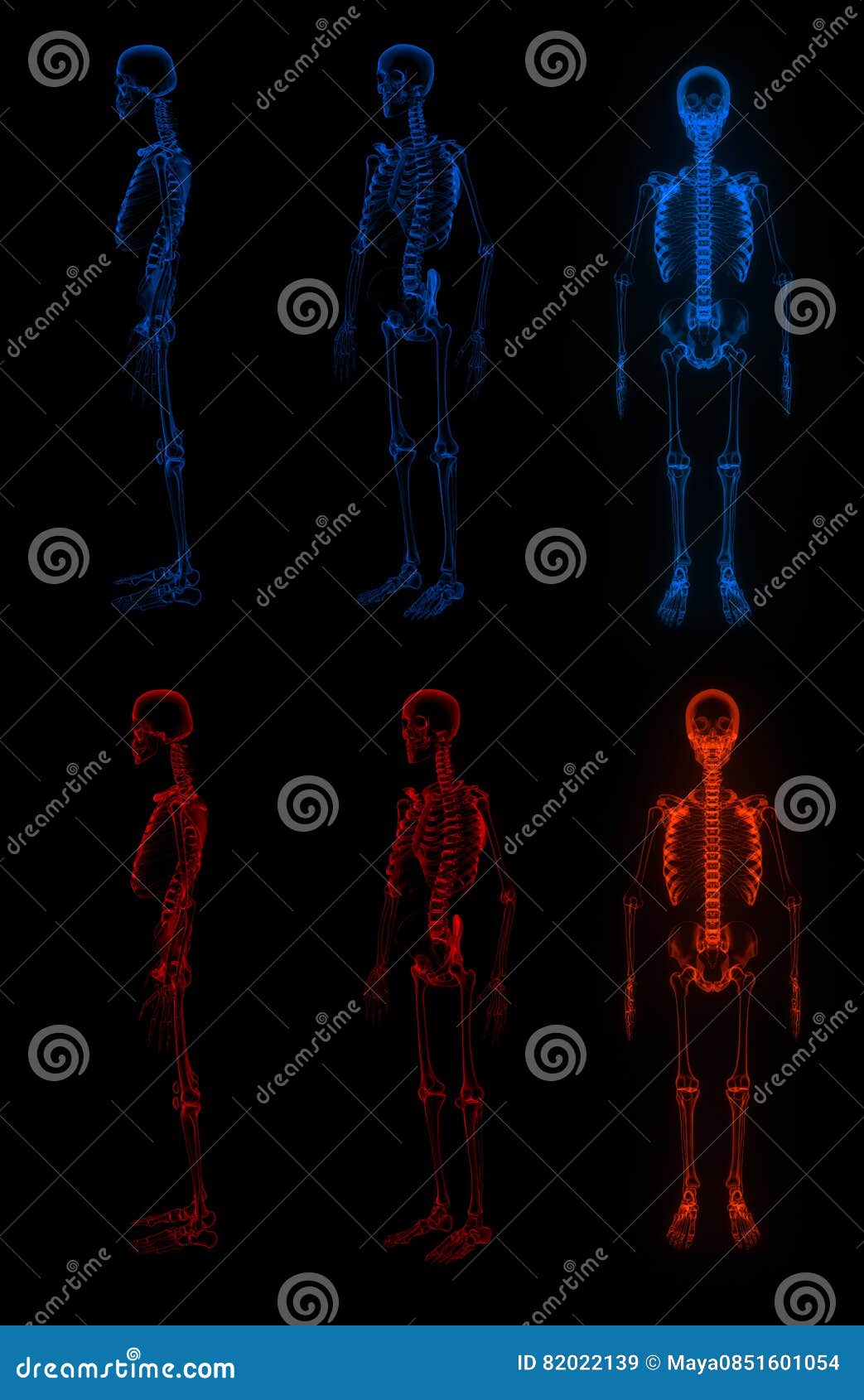 3d rendered Skeleton stock illustration. Illustration of skeletal ...