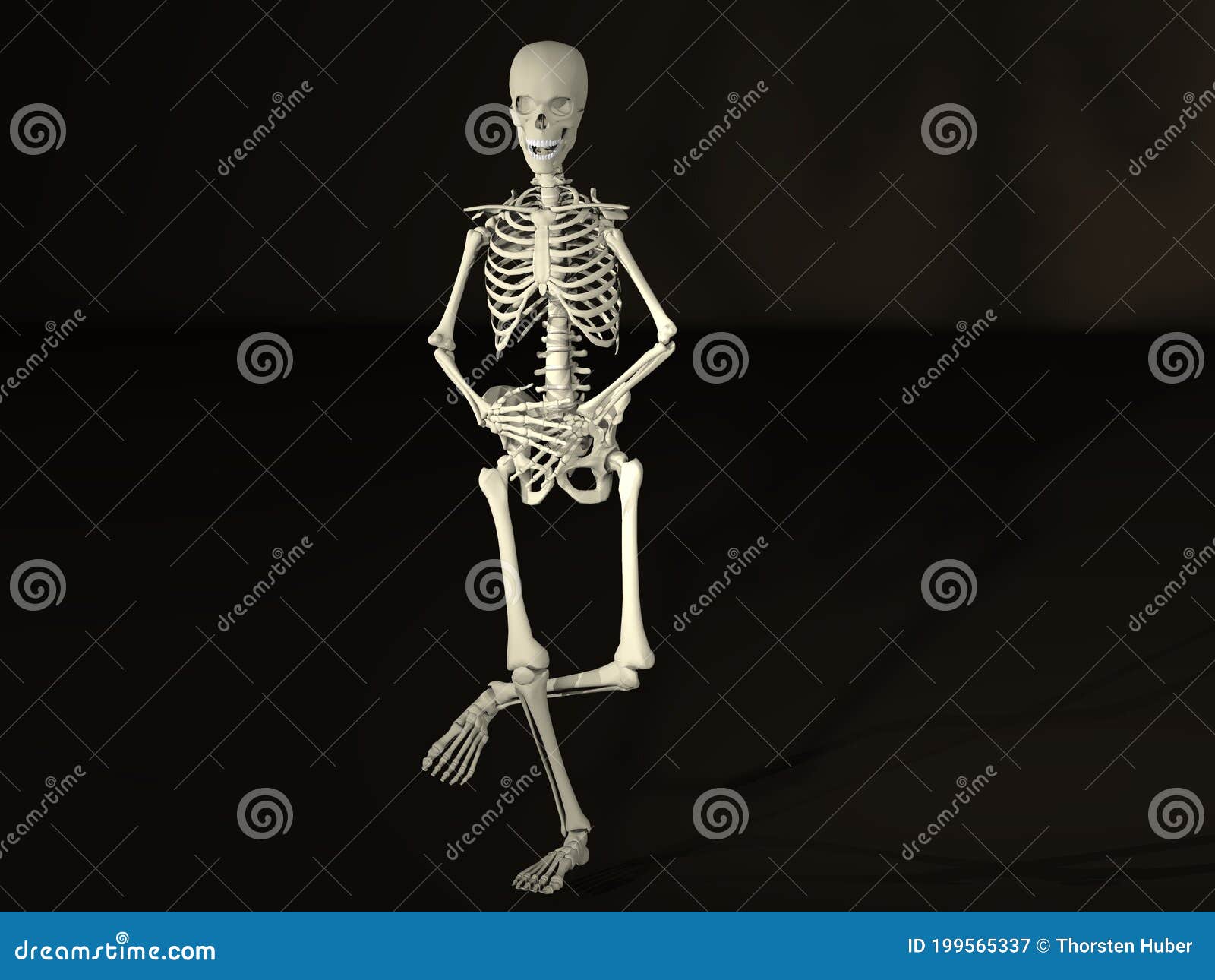 3D Rendered Skeleton Hiding Genitals Stock Illustration - Illustration ...