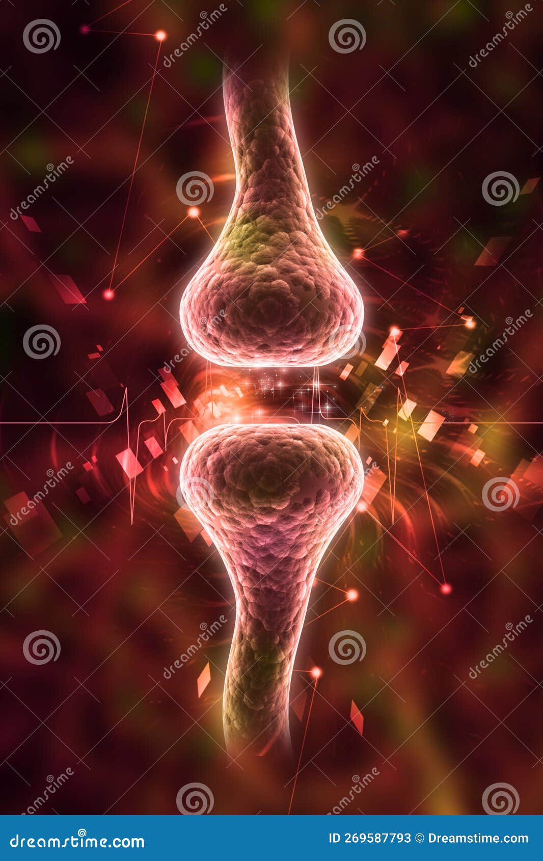 Synapse Isolated On Dark Background. Nervous System. Transmission Of ...