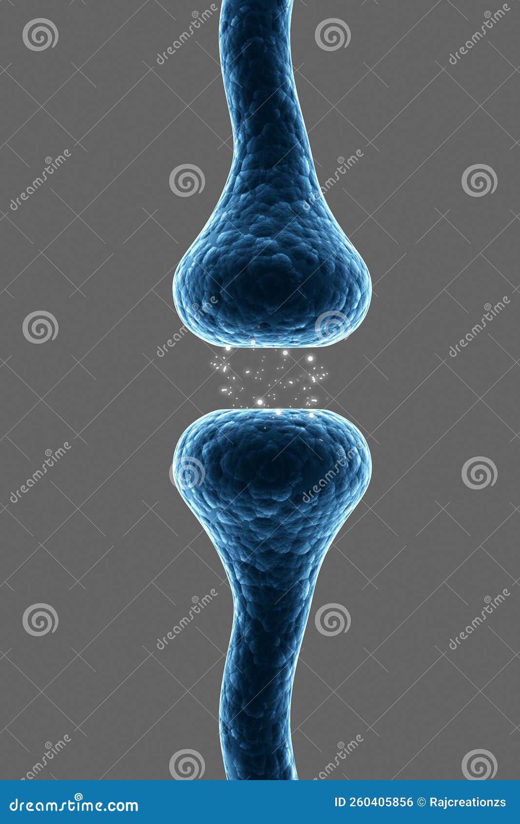 Synapse Isolated On Dark Background. Nervous System. Transmission Of ...