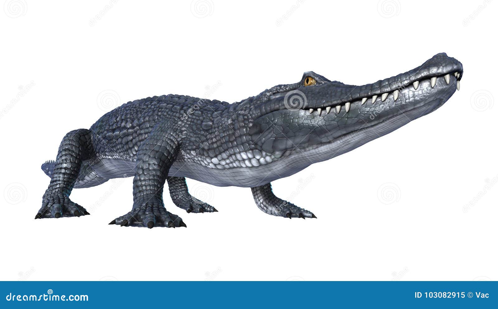 Large Caiman Stock Illustrations – 169 Large Caiman Stock Illustrations ...